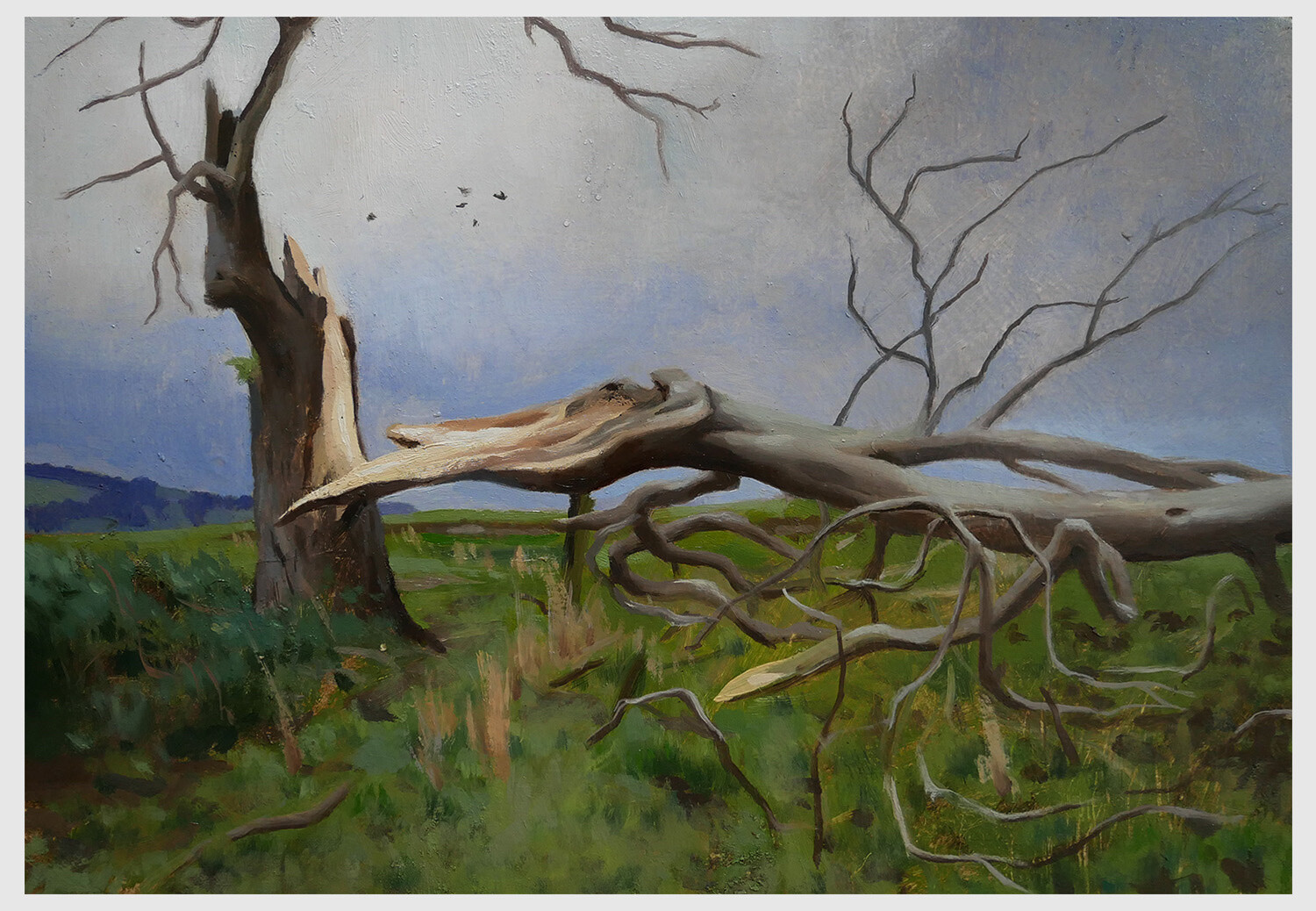 ArtStation - Fallen Tree