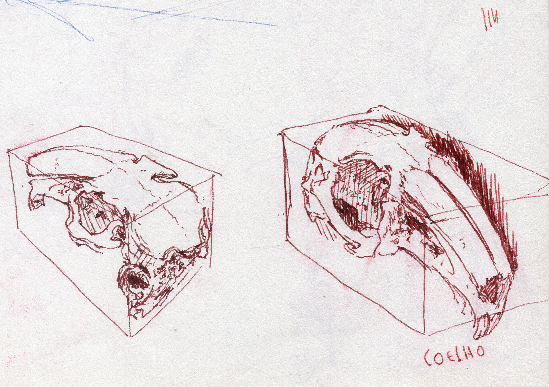 ArtStation - Skull sketch 1