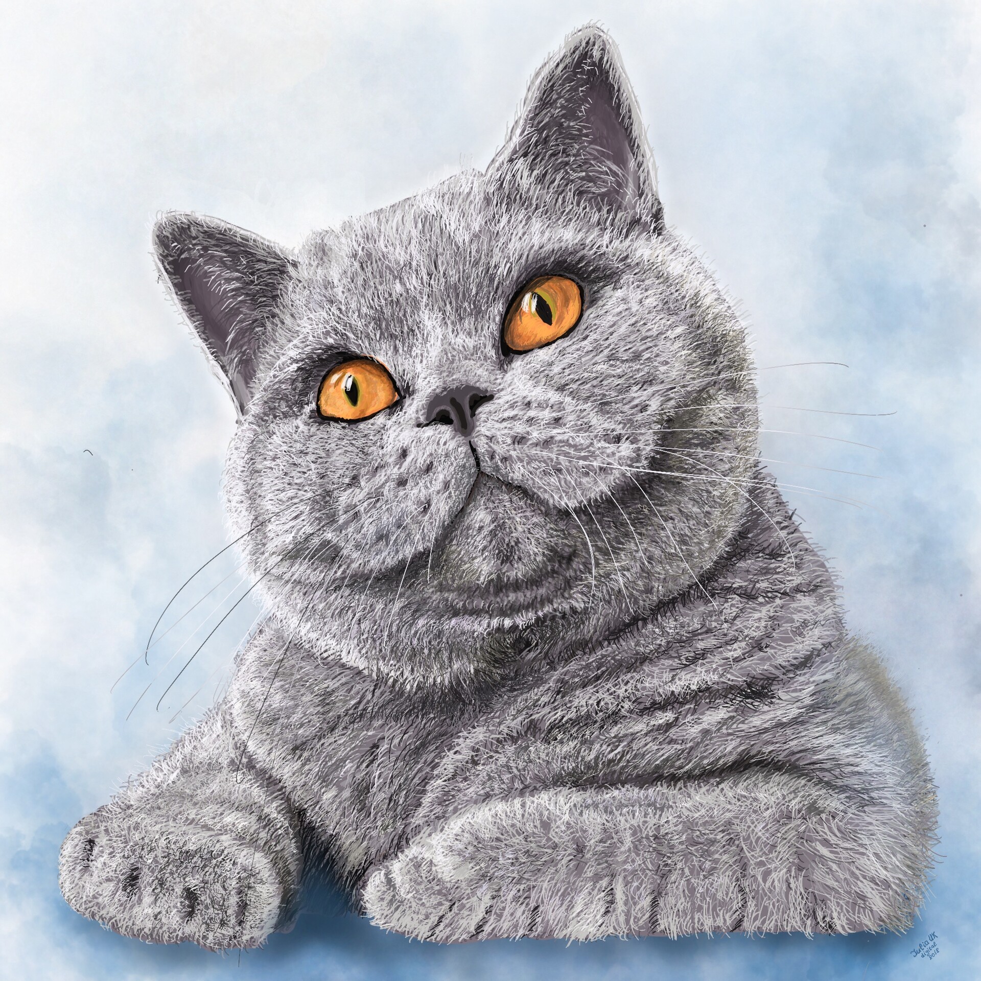 ArtStation - British Shorthair - drawing