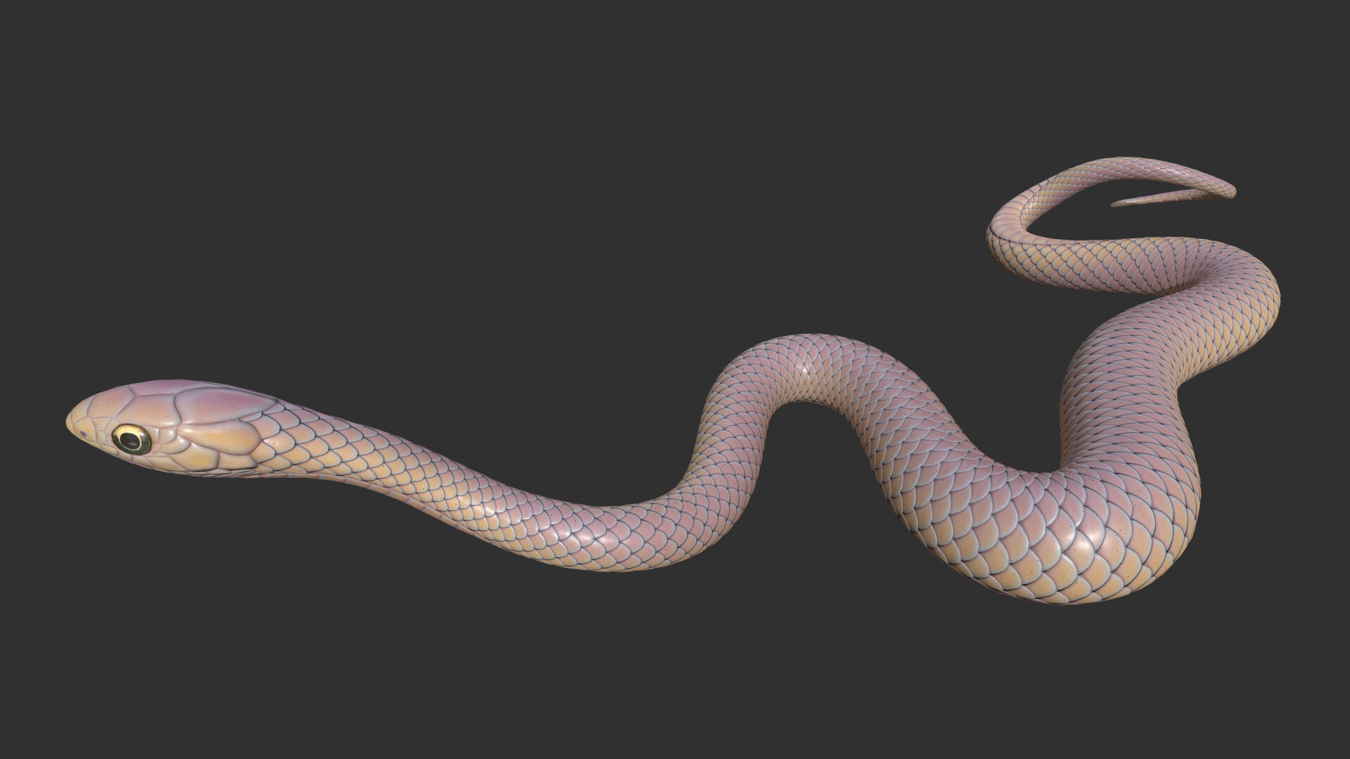Ton Thien Hai - Snakes TTH tools plugin for Zbrush