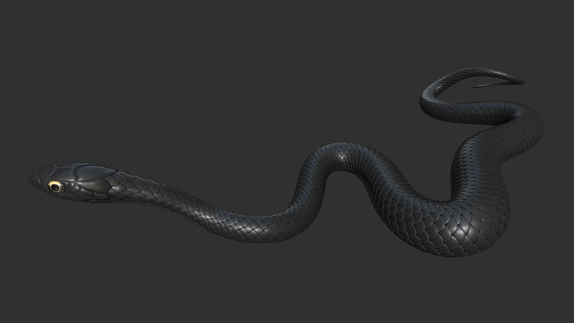 Ton Thien Hai - Snakes TTH tools plugin for Zbrush
