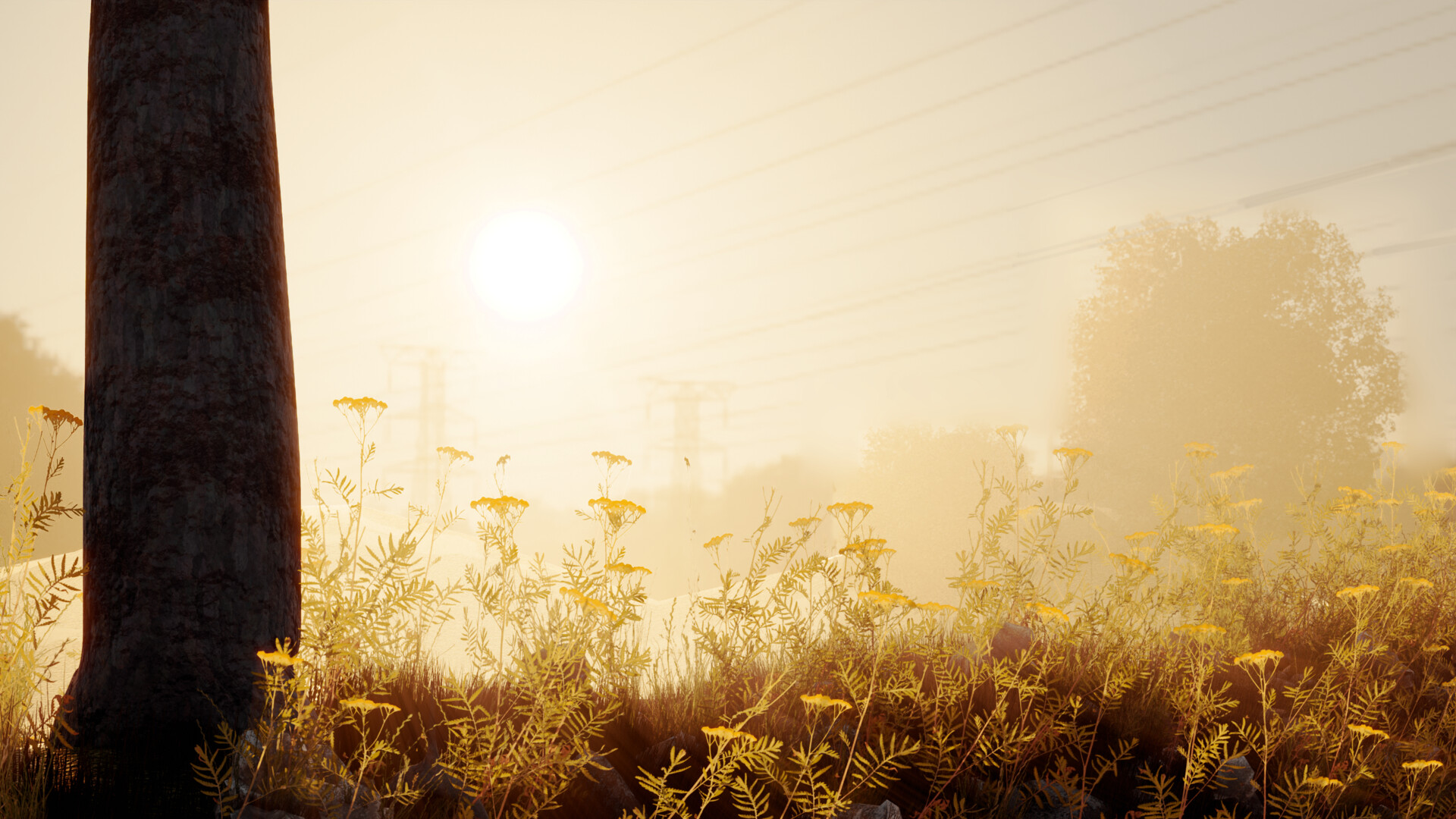 ArtStation - Simple Meadow