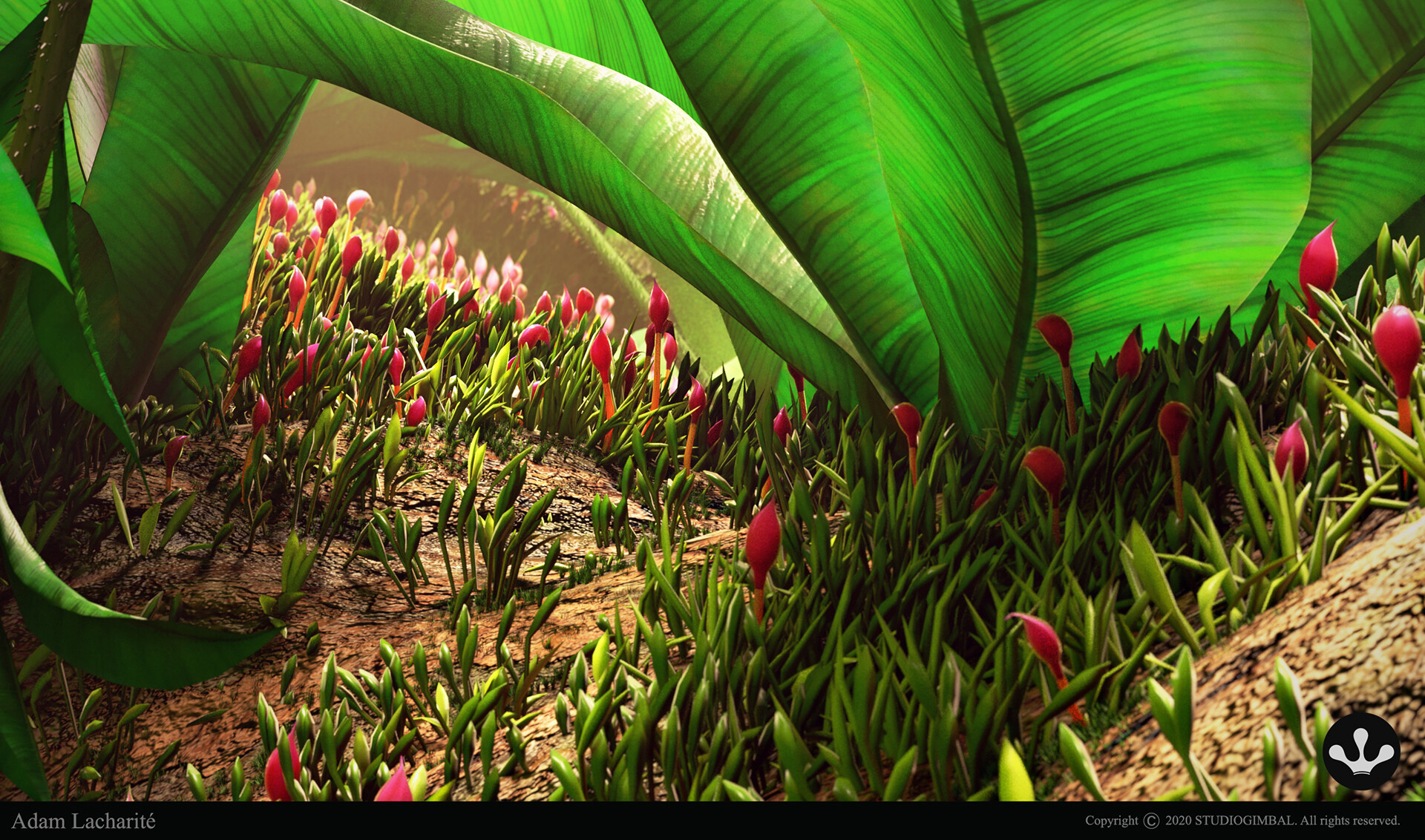 Adam Lacharité - Vivarium