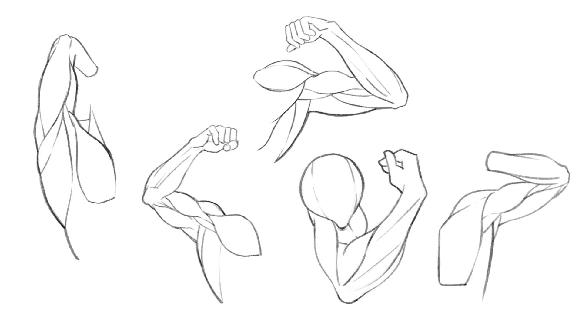 Bent Arm Reference