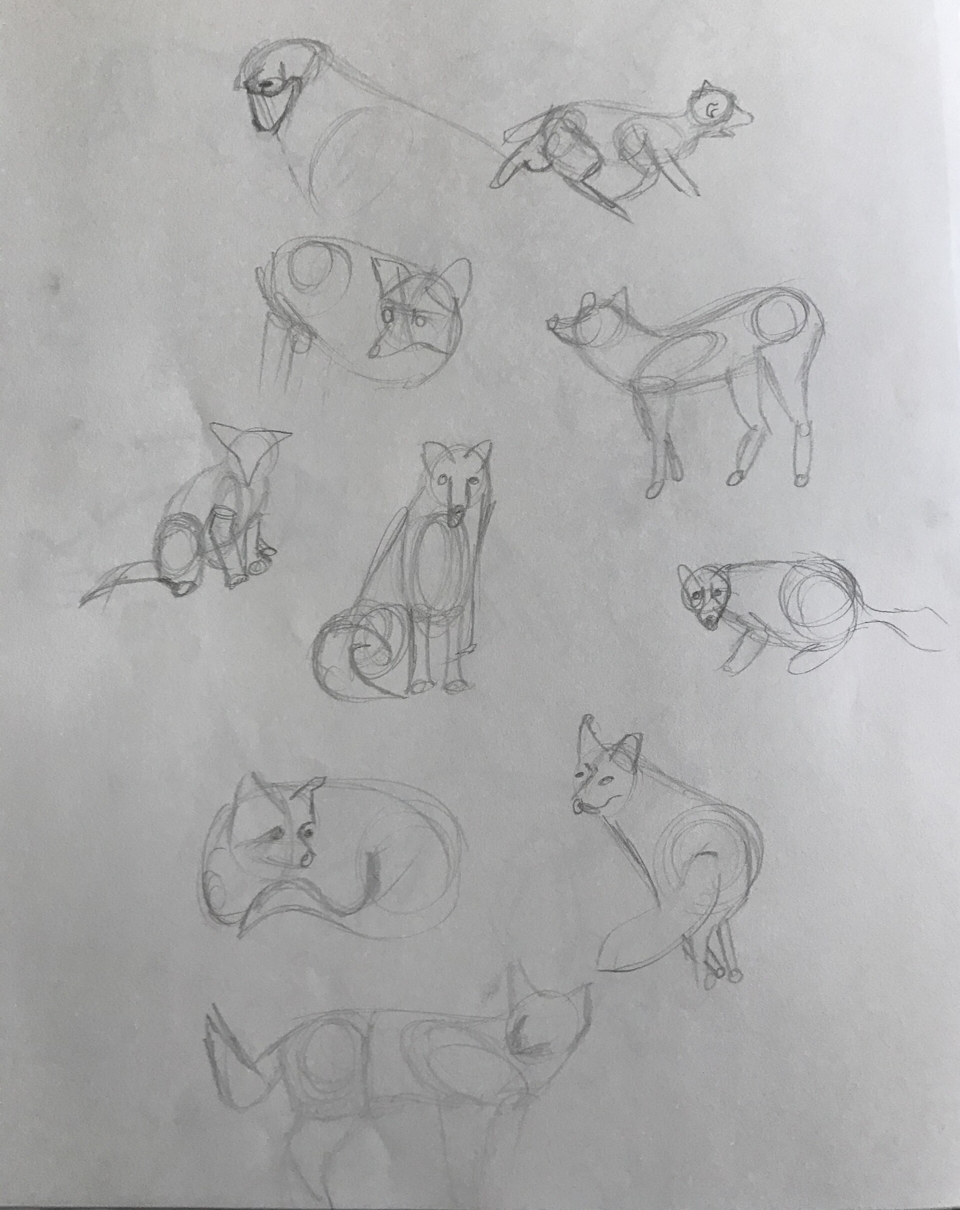 ArtStation - Fox Gestures