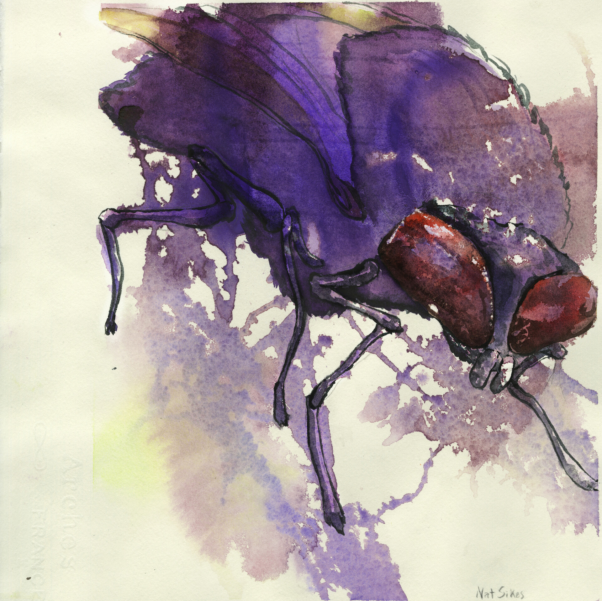 ArtStation - Fly Watercolor