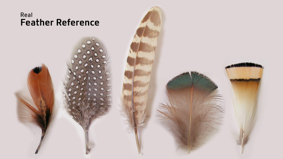 thrinethra ms - Yeti Feathers | Texture Coords | Maya