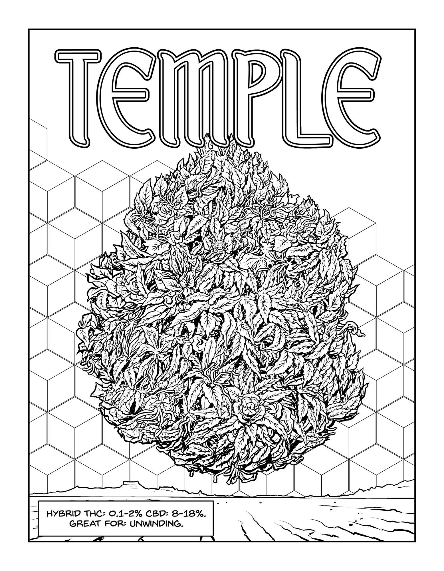 Salgood Sam - Illustration work!