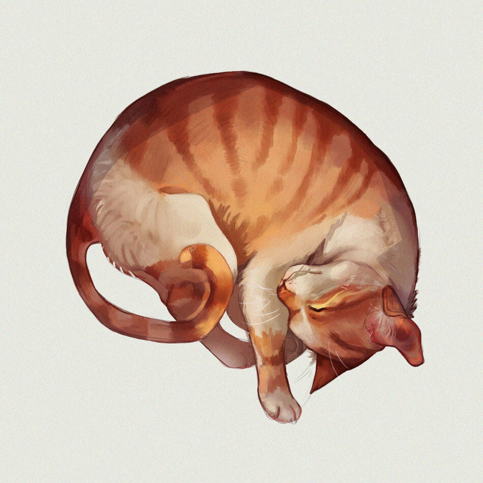 ArtStation - Cat study