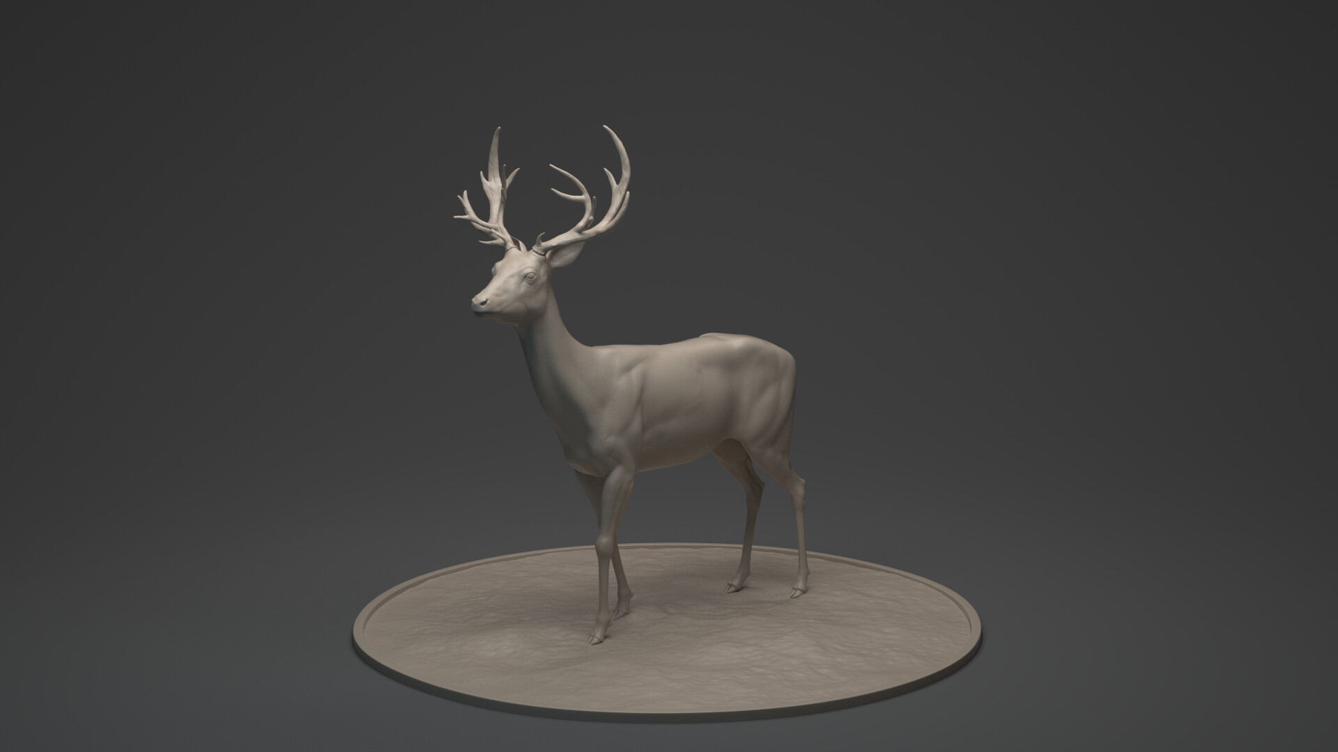ArtStation - Deer Anatomy Study