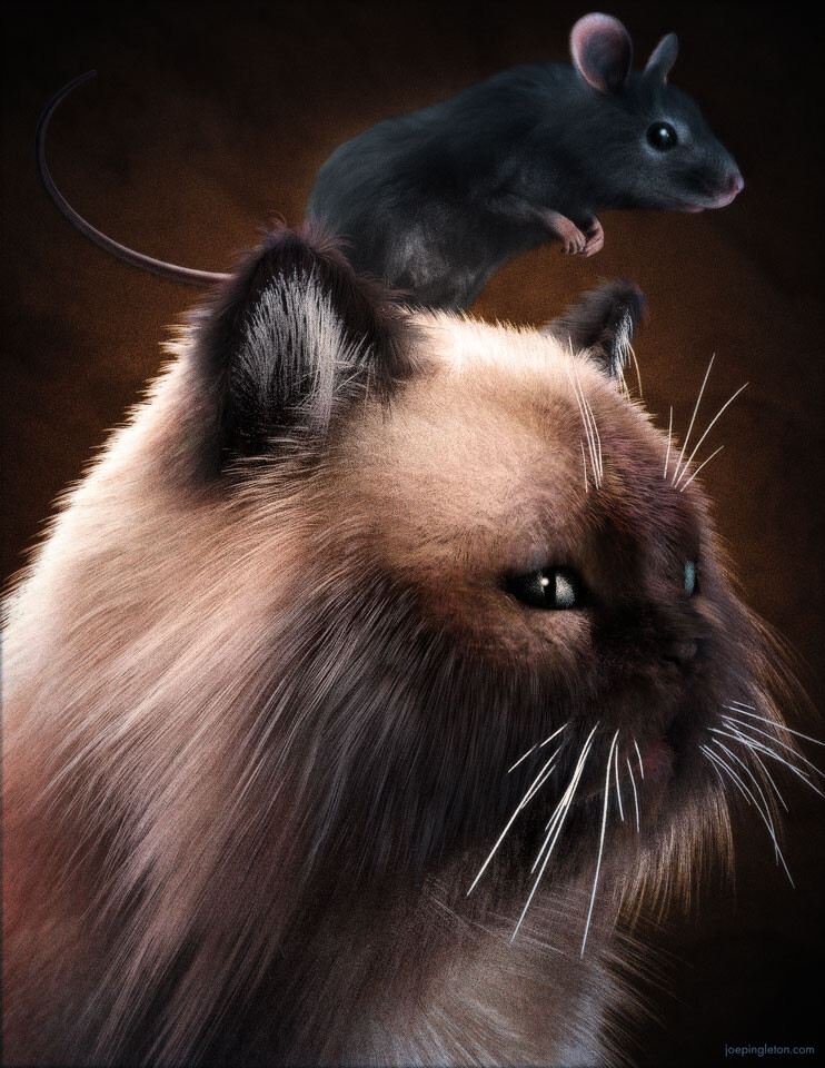 Joe Pingleton - Cat and Mouse