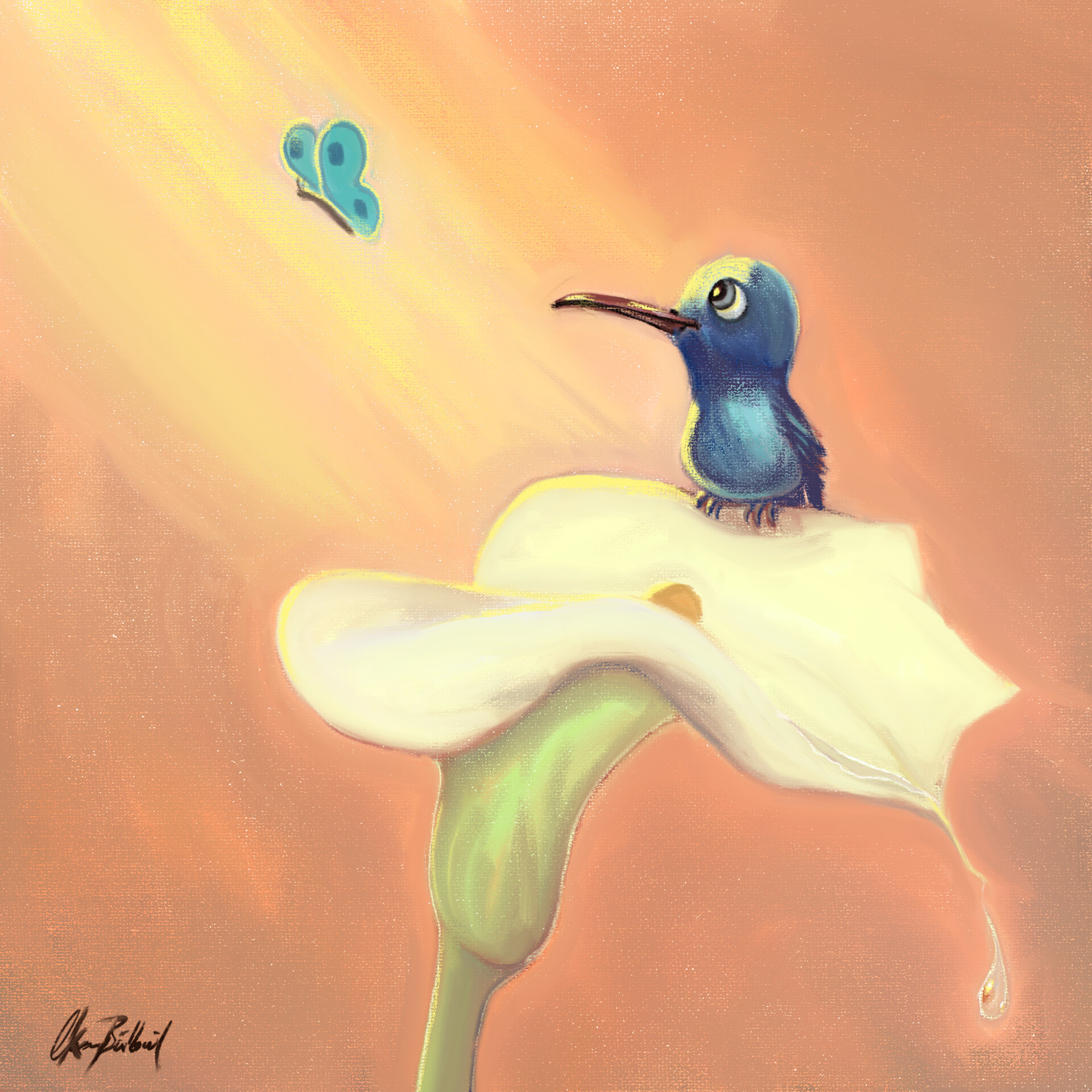 ArtStation - hummingbird