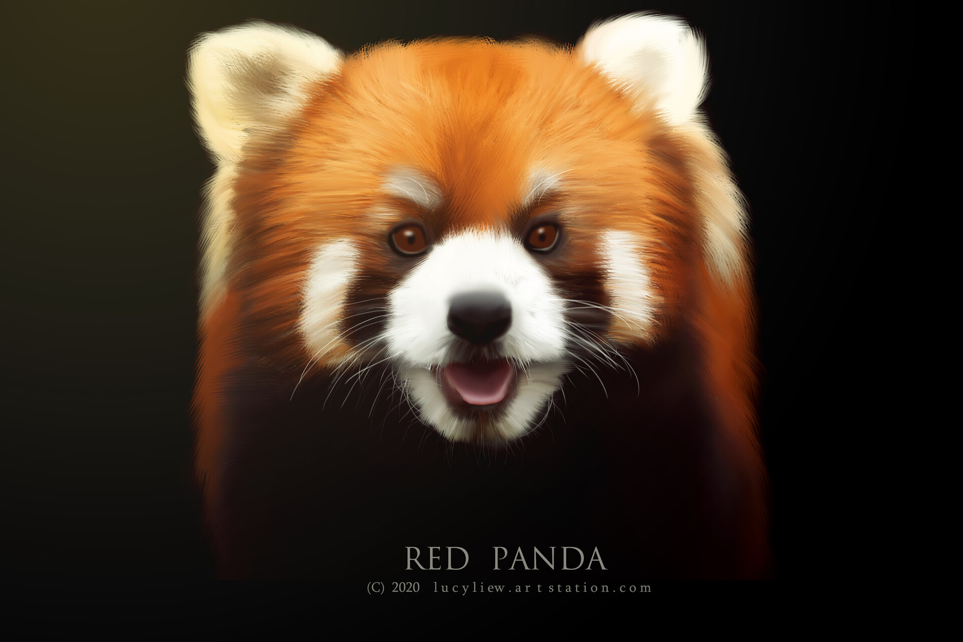 ArtStation - RED PANDA