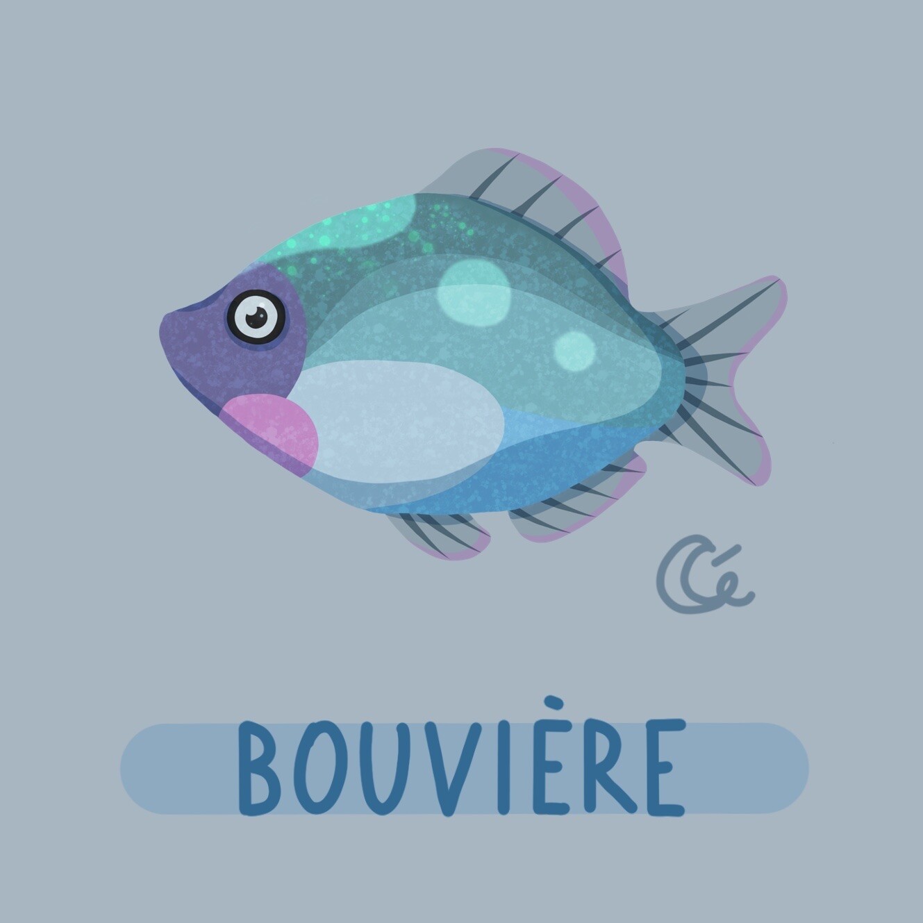 ArtStation - Bouvière