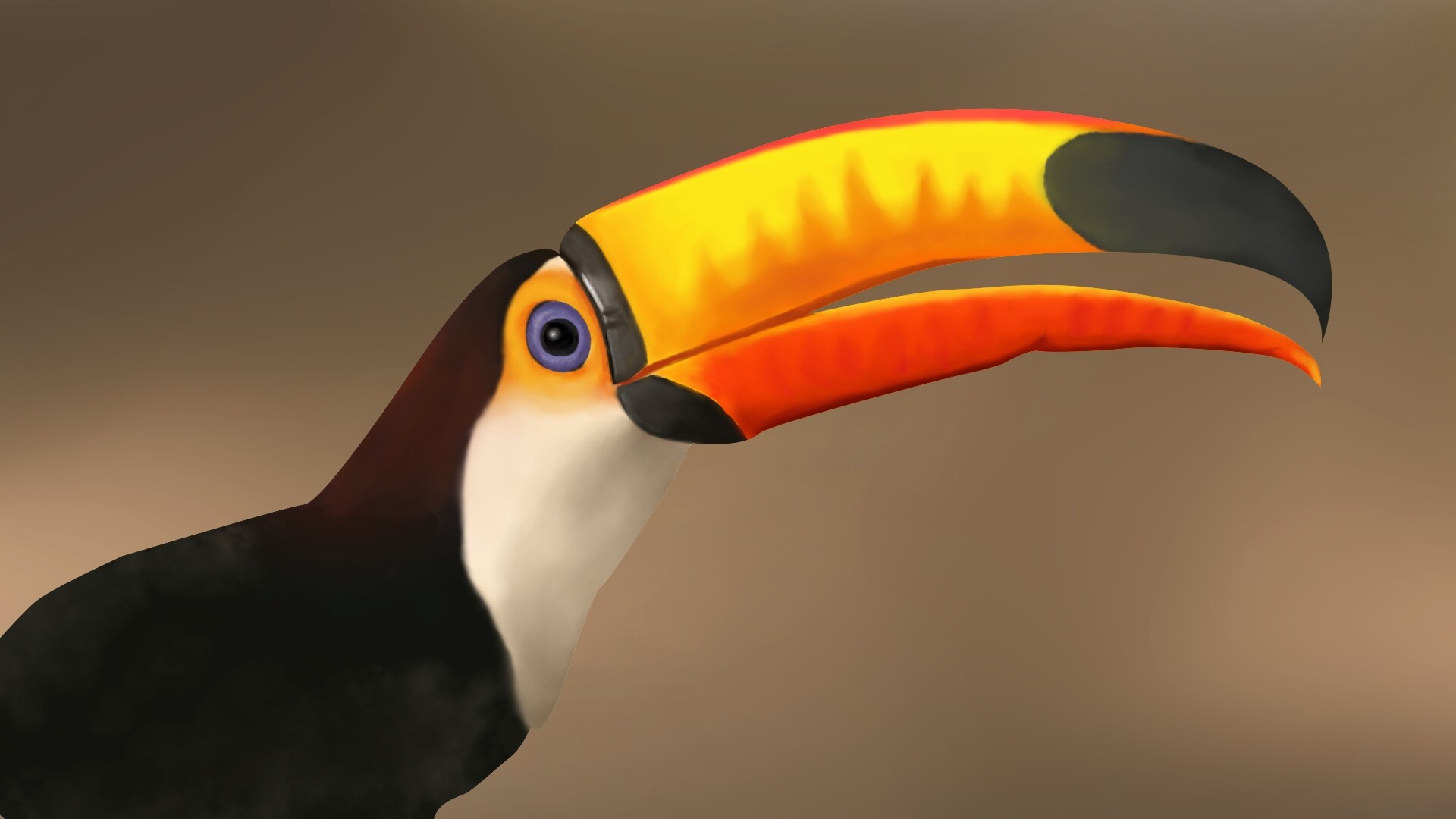 ArtStation - Toucan