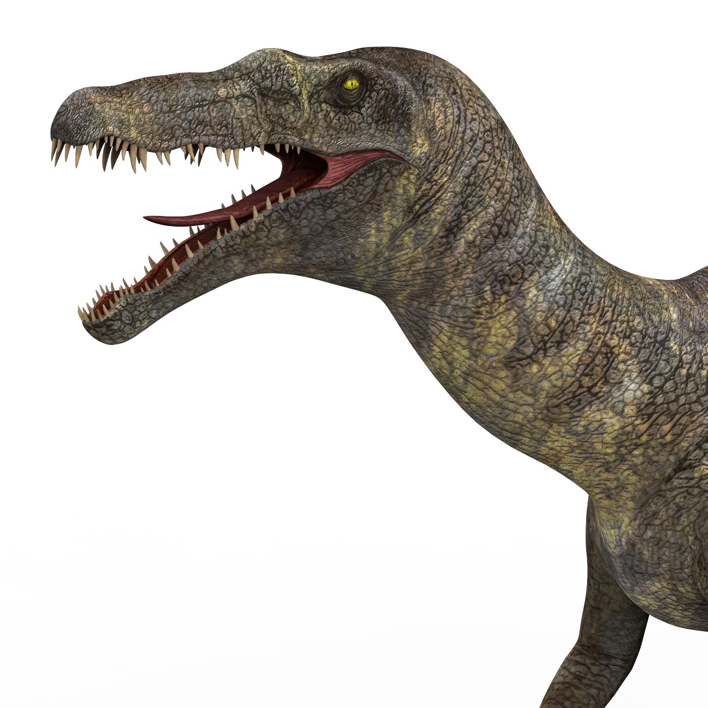 ArtStation - Baryonyx Dinosaur with PBR Textures