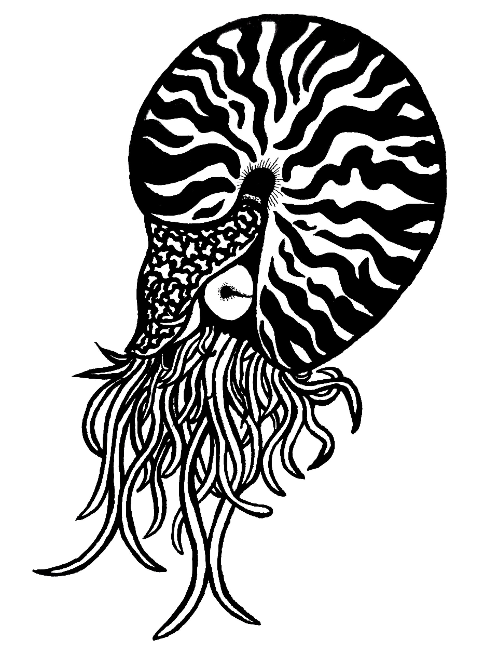 Chambered Nautilus Tattoo