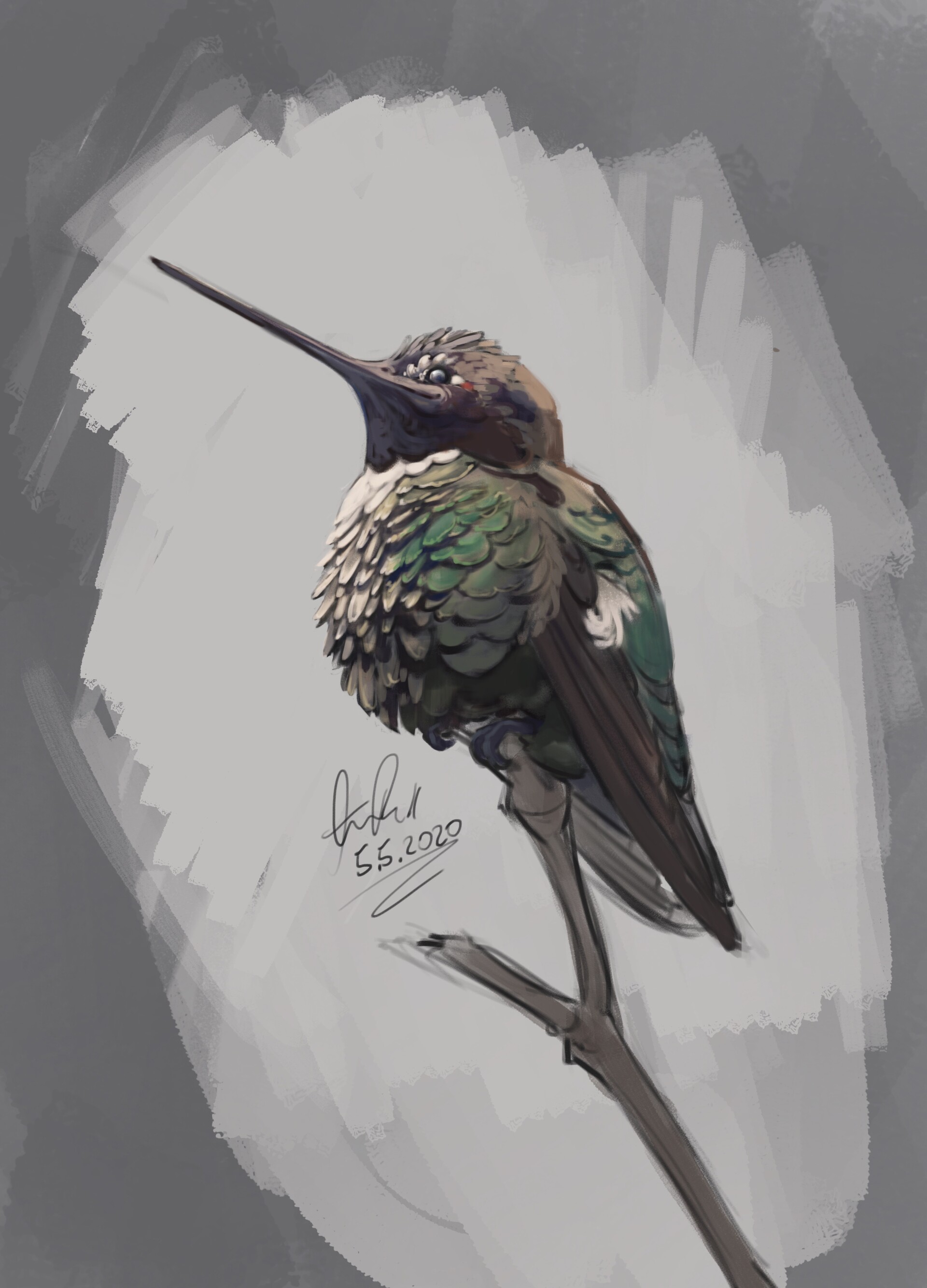ArtStation - Hummingbird