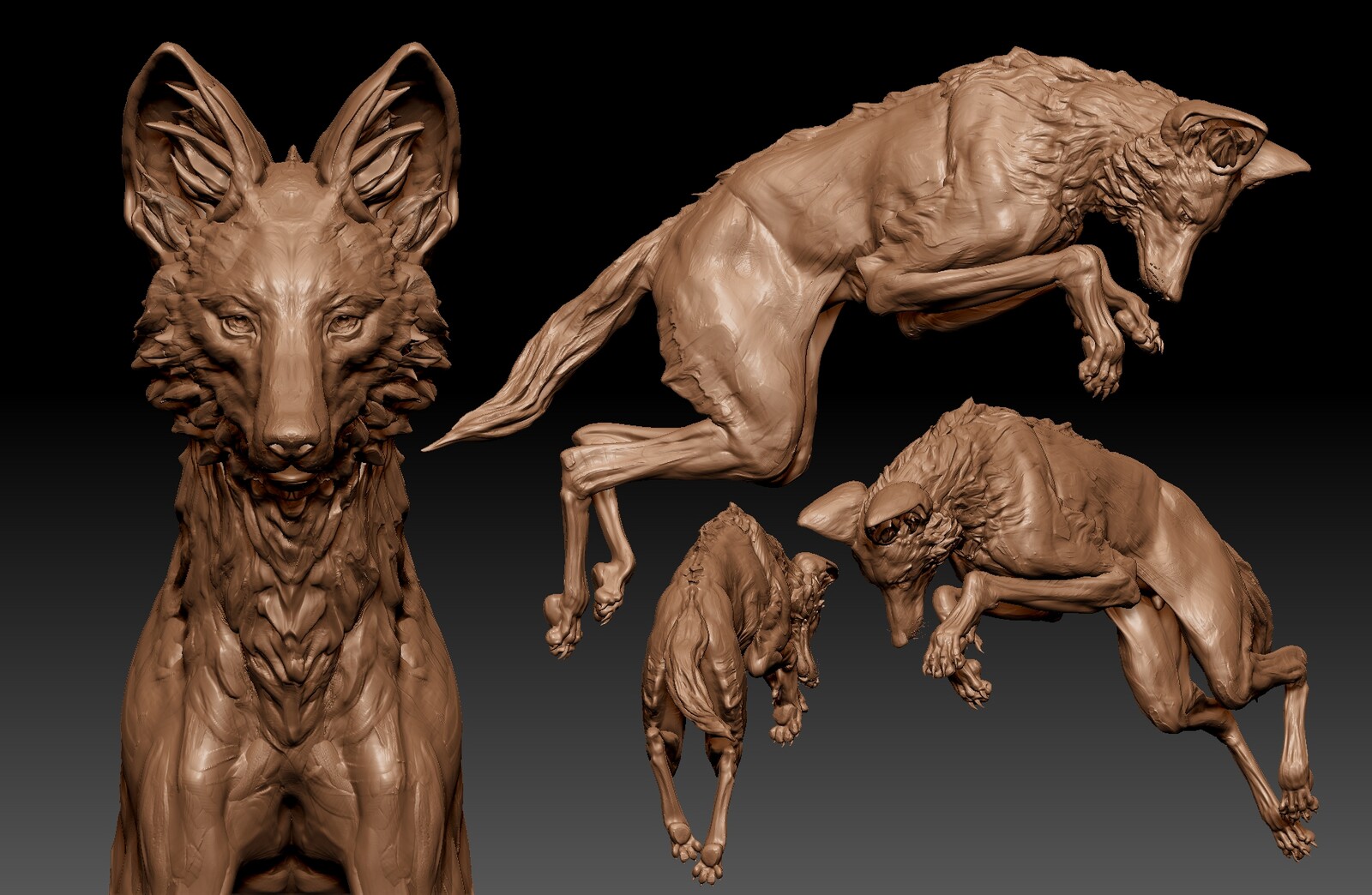 Chunlin Yang - Maned Wolf anatomy study (WIP)