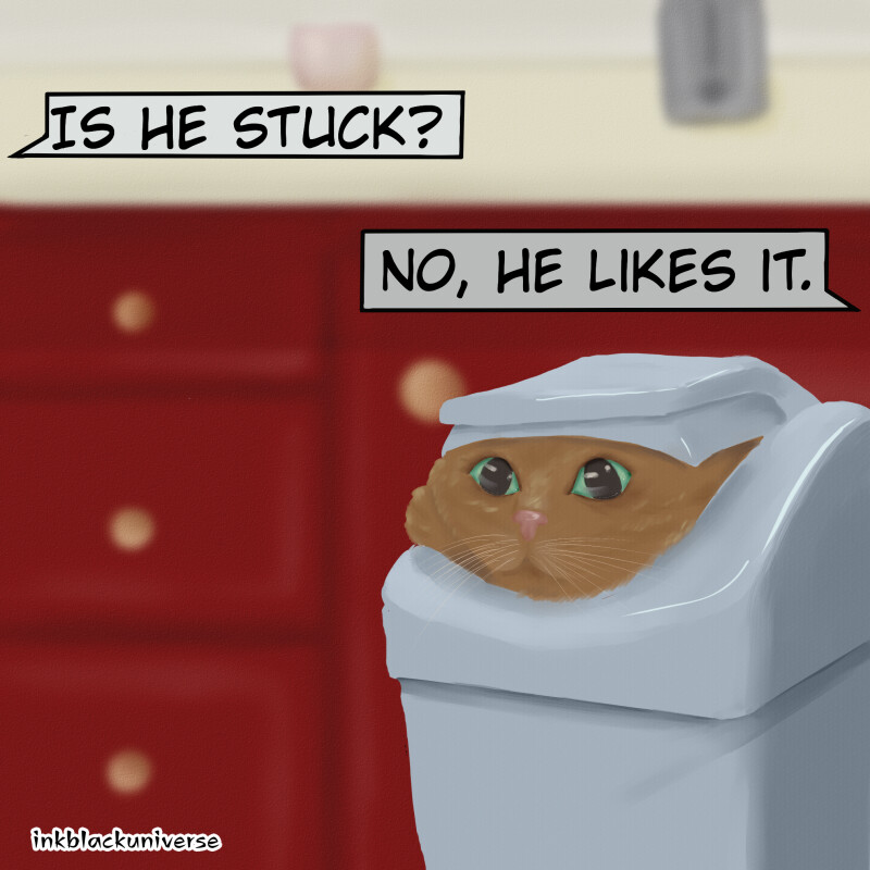 ArtStation - Trash Cat