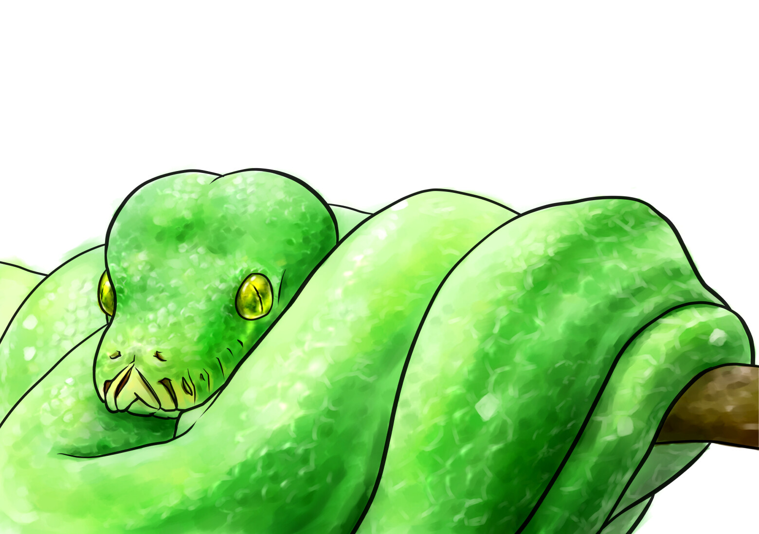 how to draw a green tree python