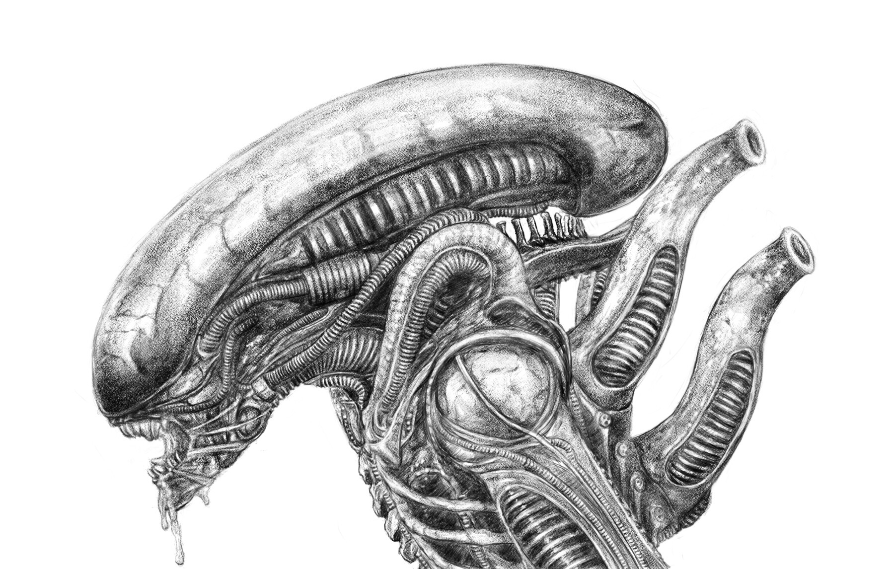 ArtStation - Xenomorph
