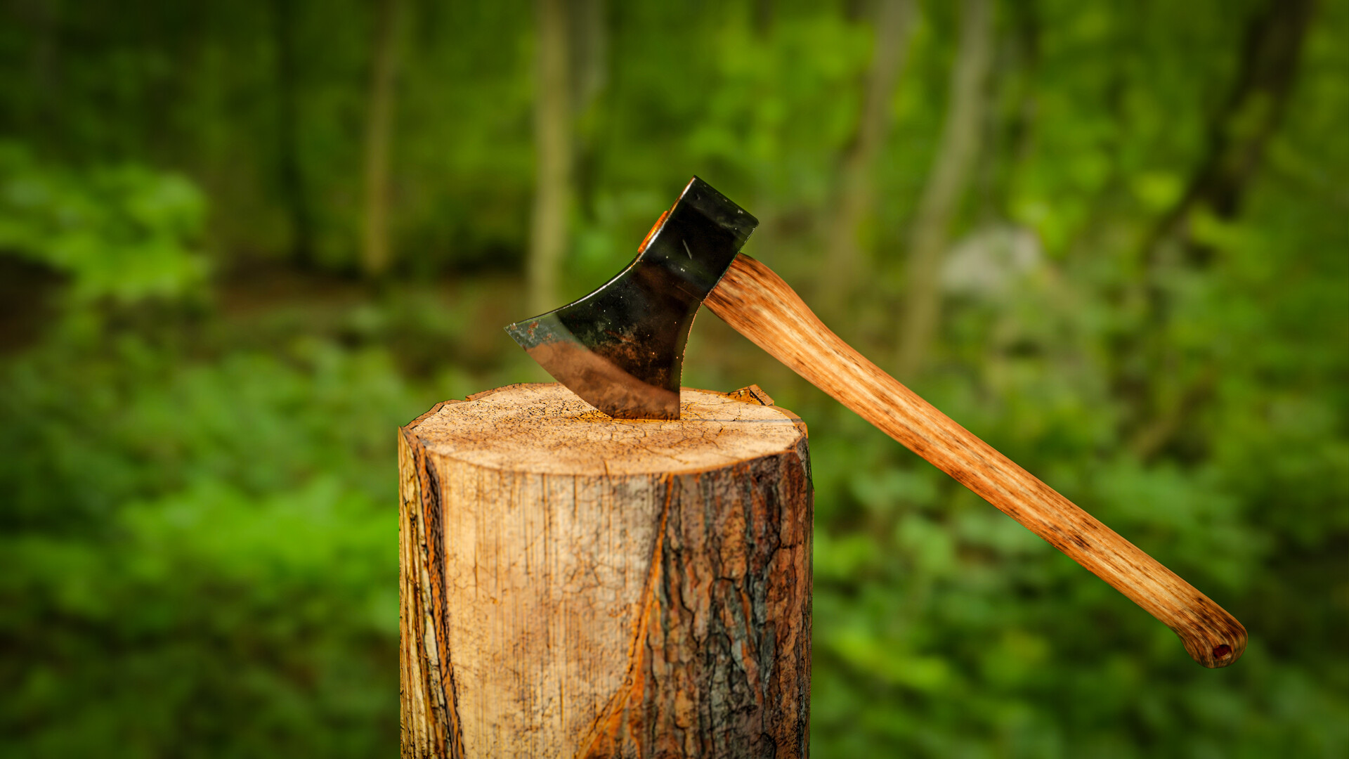 Arslan Rao - small AXE Model in blender.Texture In Substance Painter