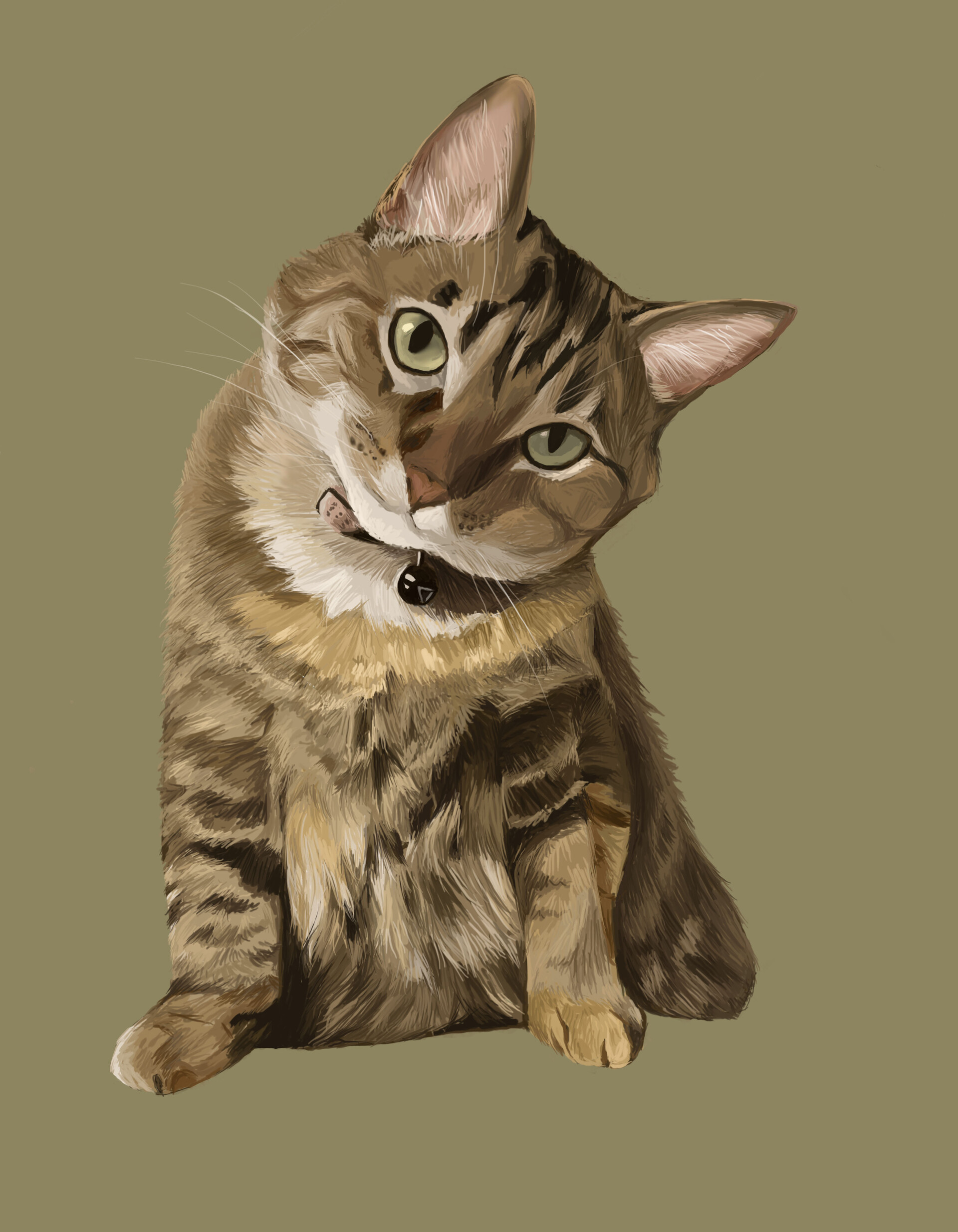 ArtStation - A Spicy Cat - cat commission