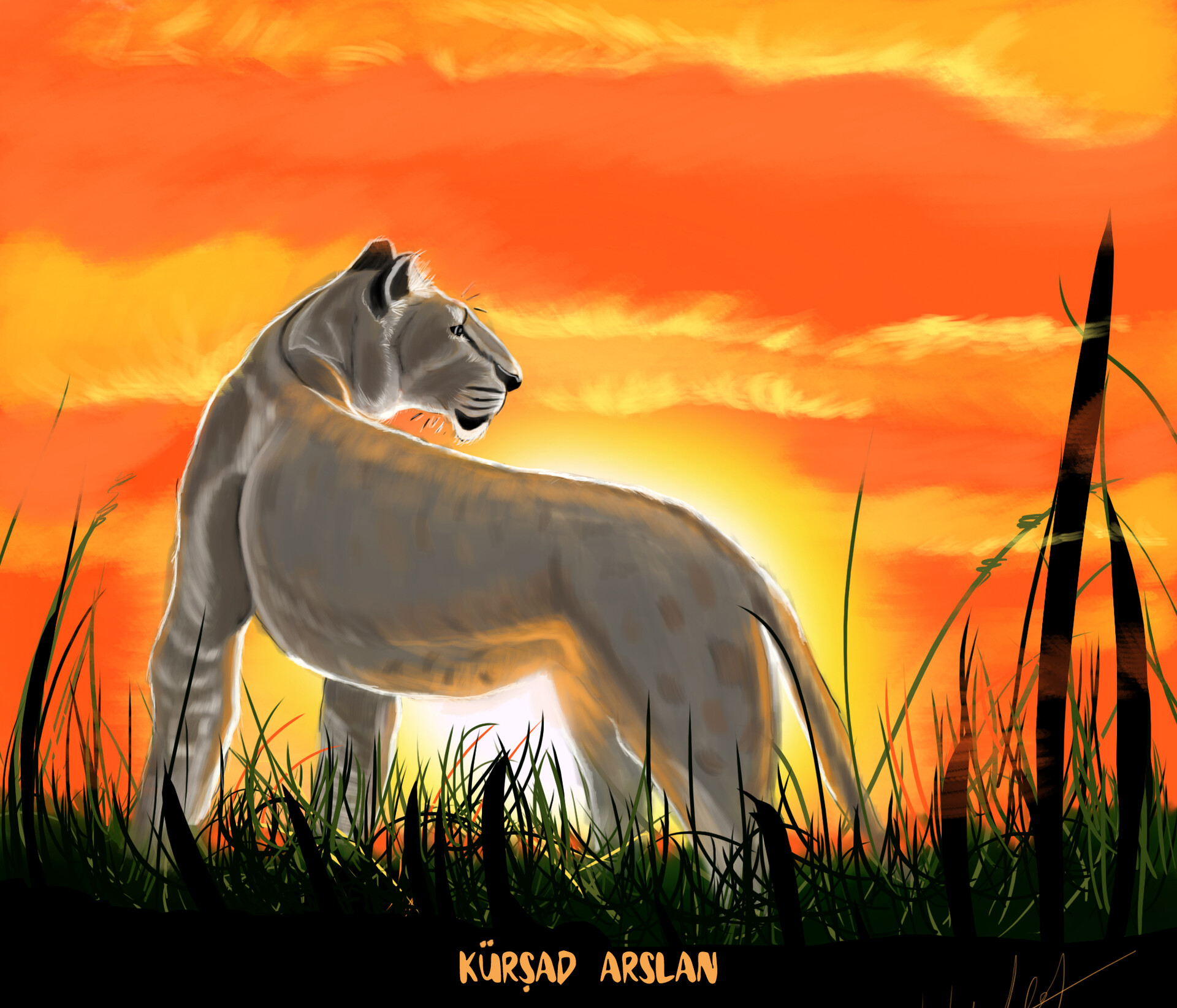 ArtStation - YANLIZ ASLAN