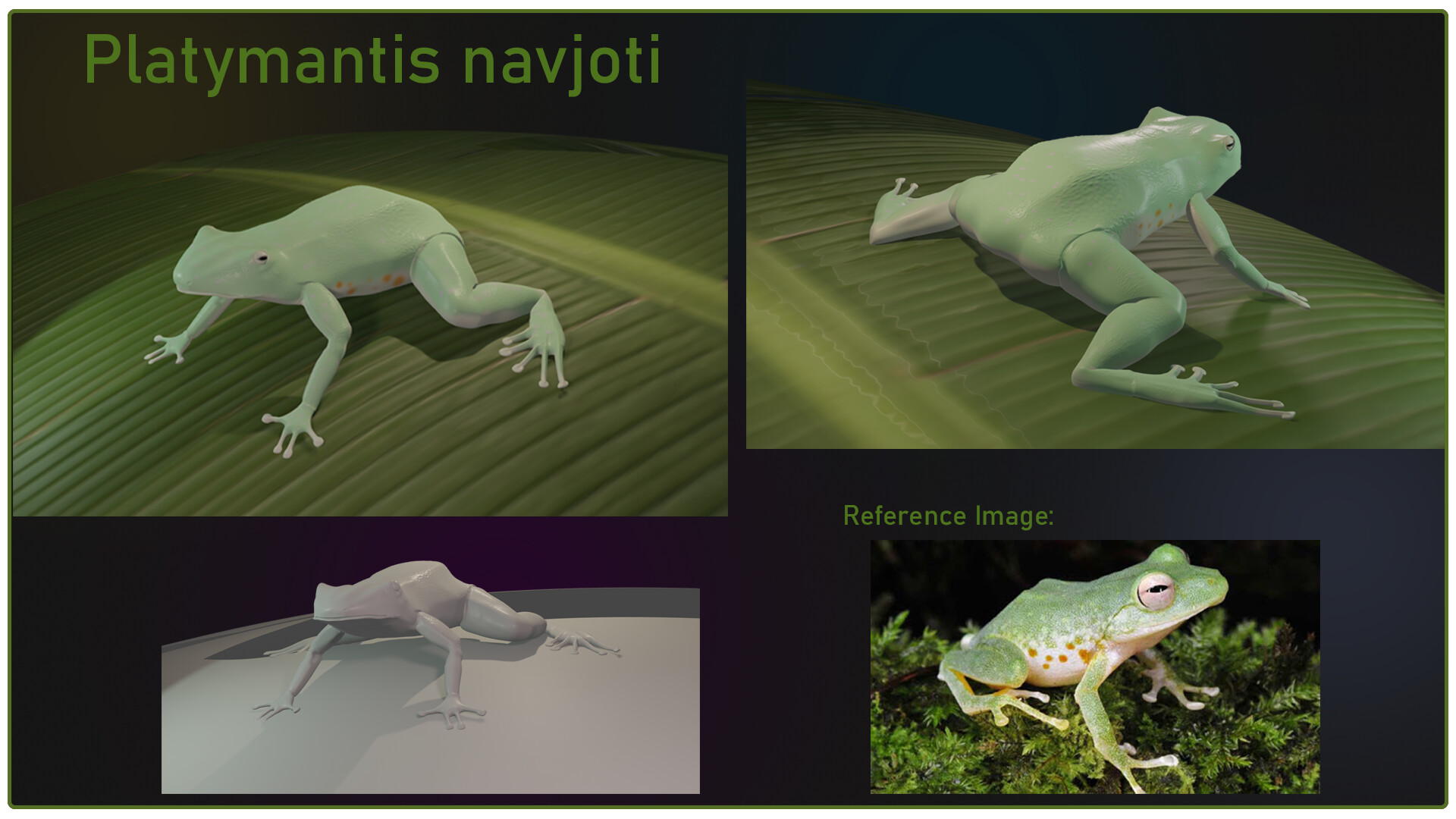 ArtStation - Frog Model