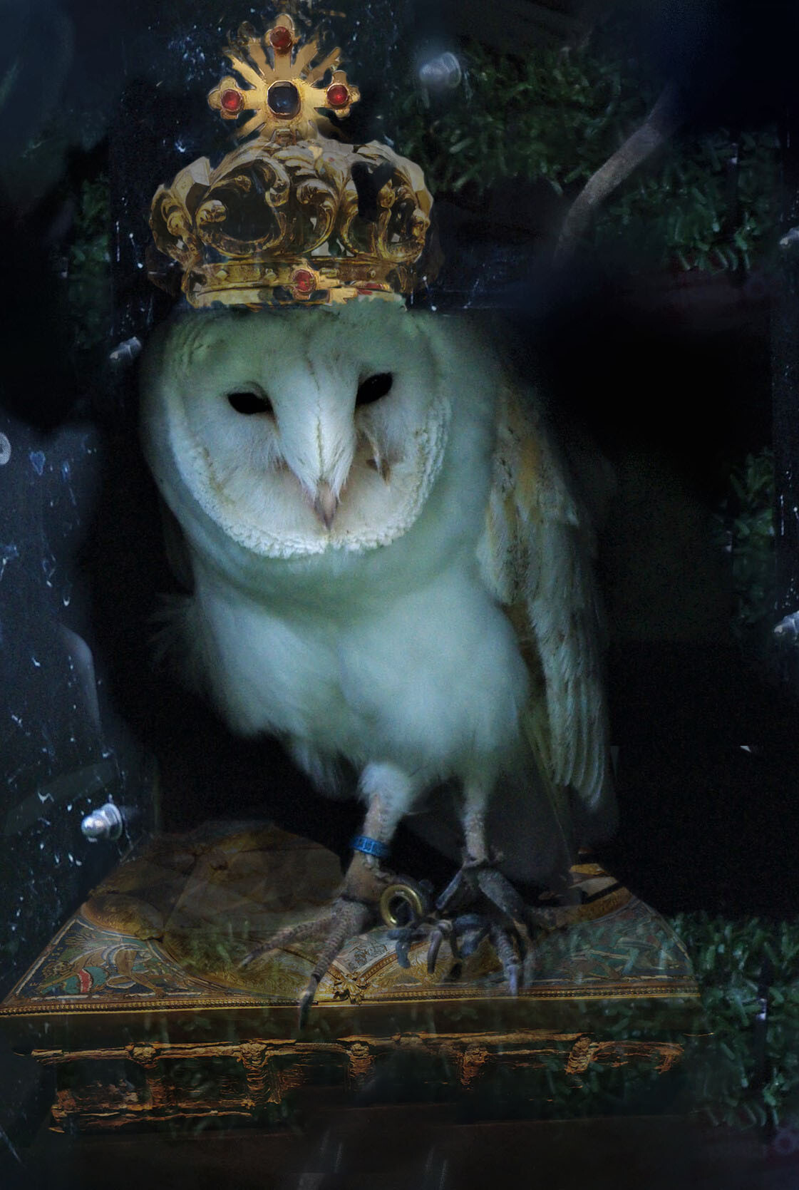 ArtStation - Wise old owl