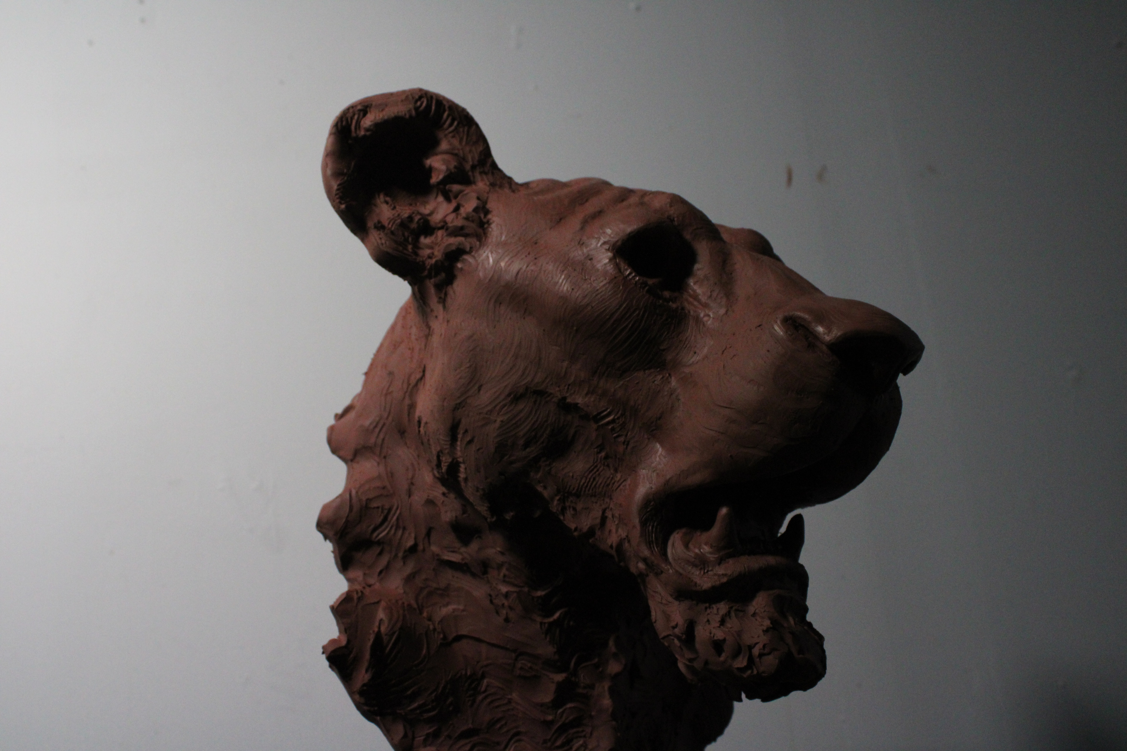 Greg Strangis - Lioness Lifesize "Zuri"