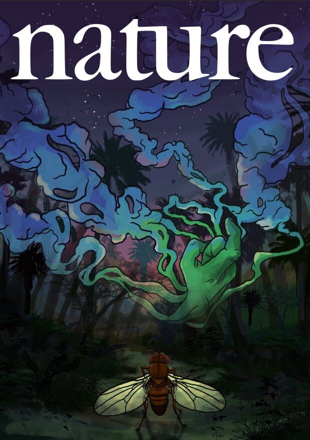 ArtStation - Nature Cover