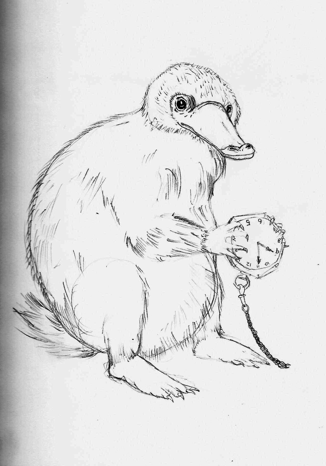 zoe williams - Niffler (Fantastic Beasts and where to find them)