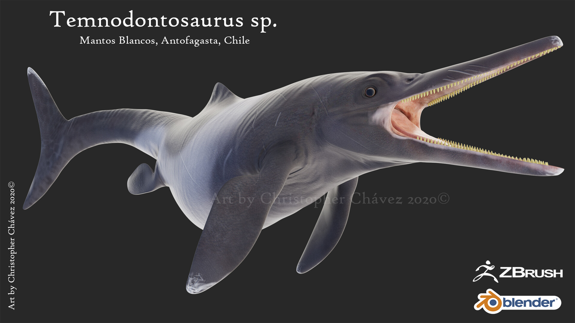 temnodontosaurus teeth