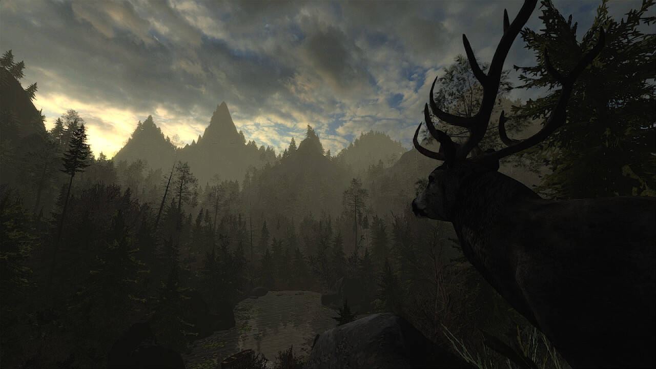 ArtStation - Forest Concept Level Design