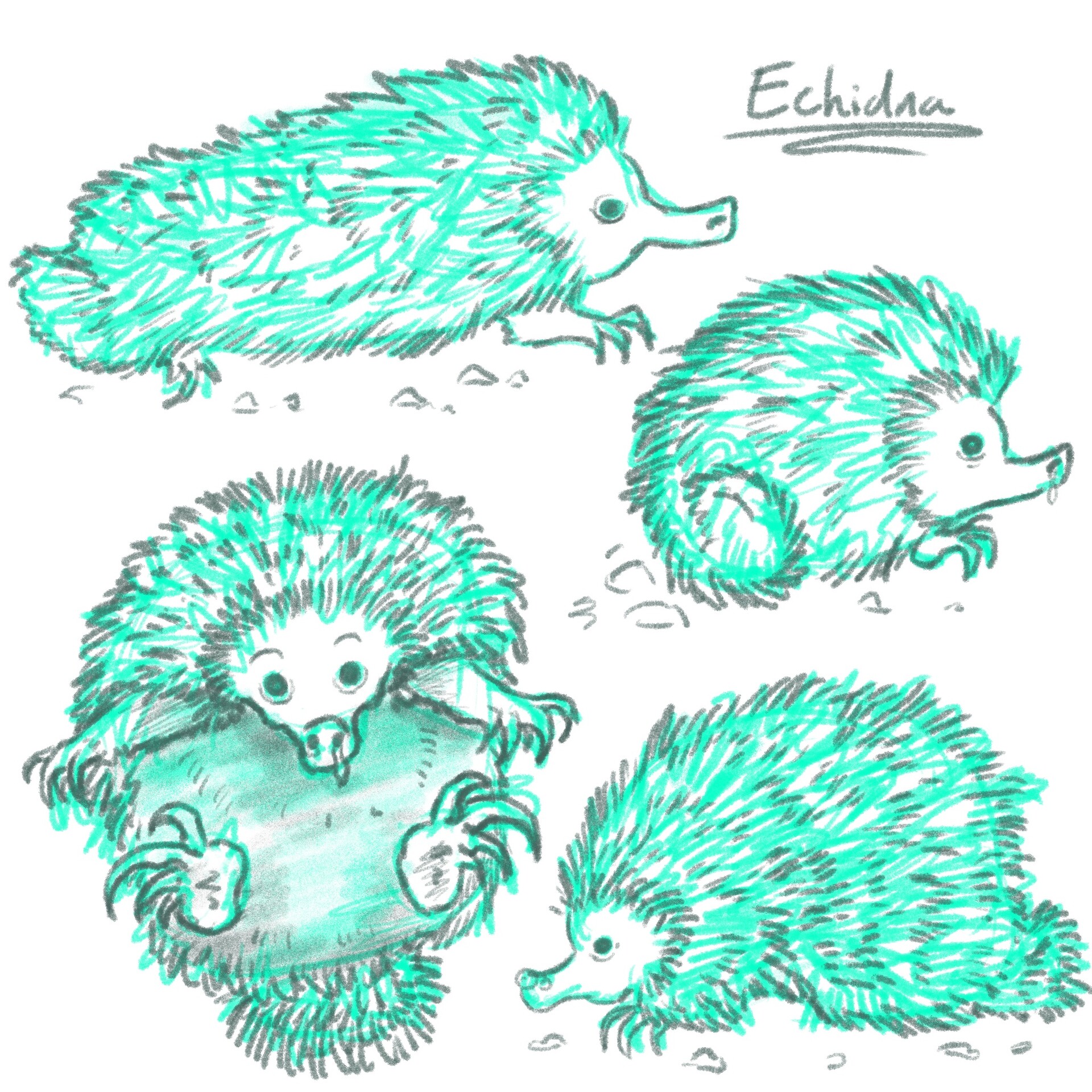 AJ Blake - Animal Life Drawing, LightBox 2020