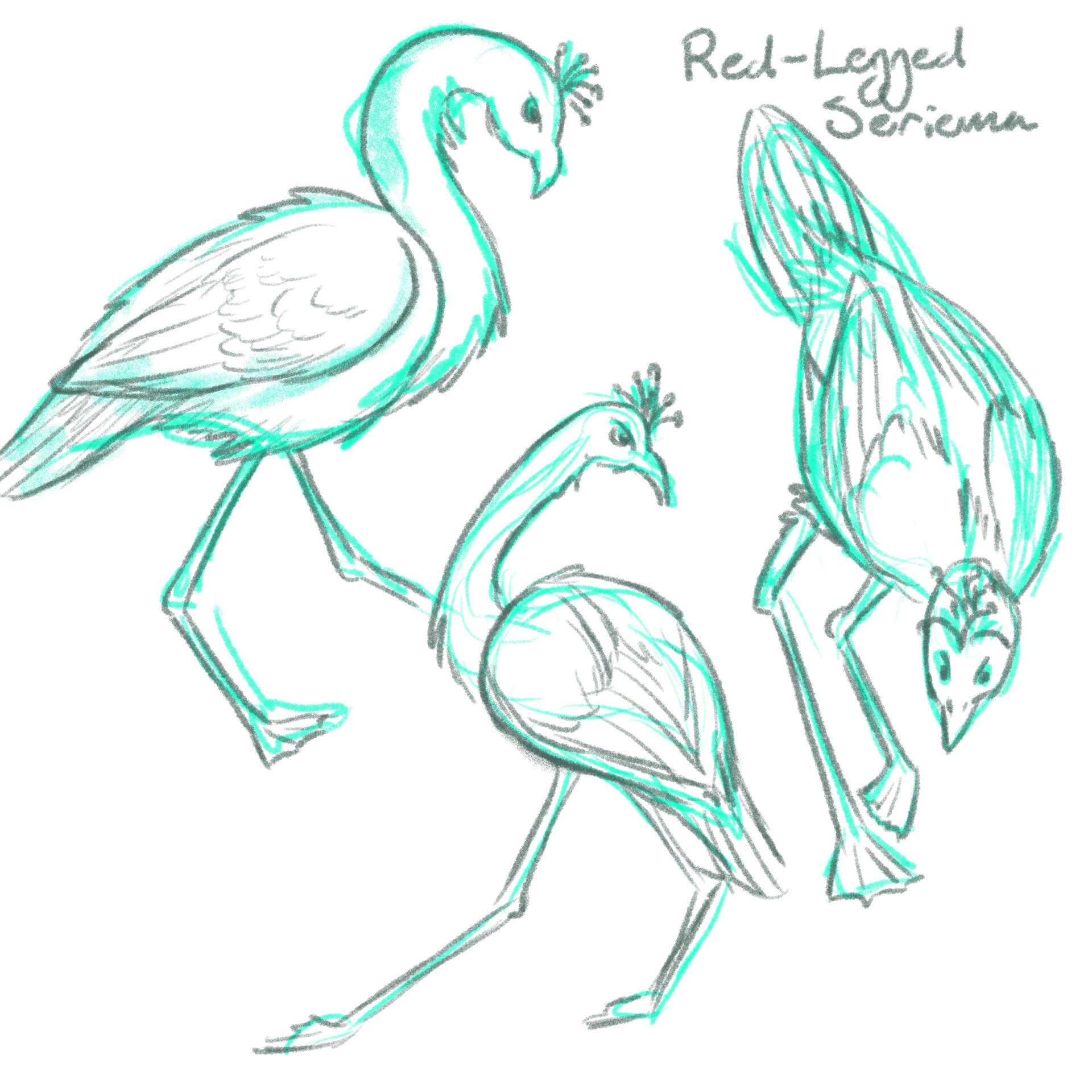 AJ Blake - Animal Life Drawing, LightBox 2020