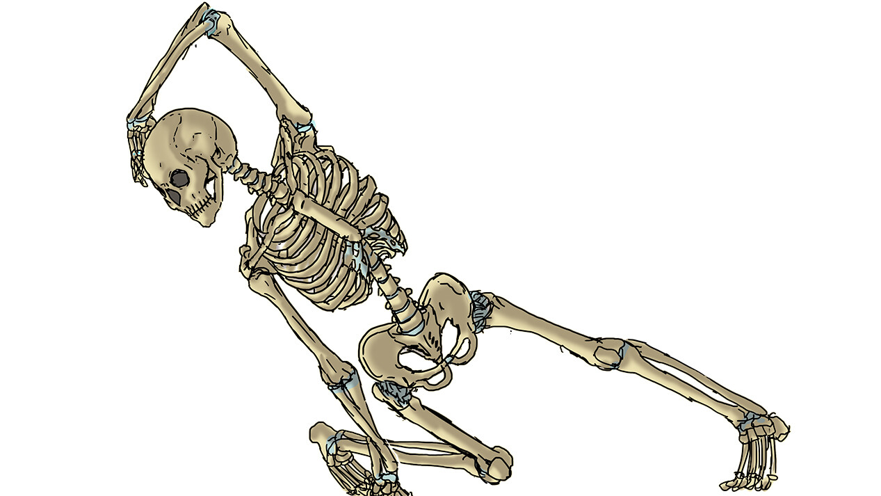 Thomas Arcasa - Anatomic Man Body Study