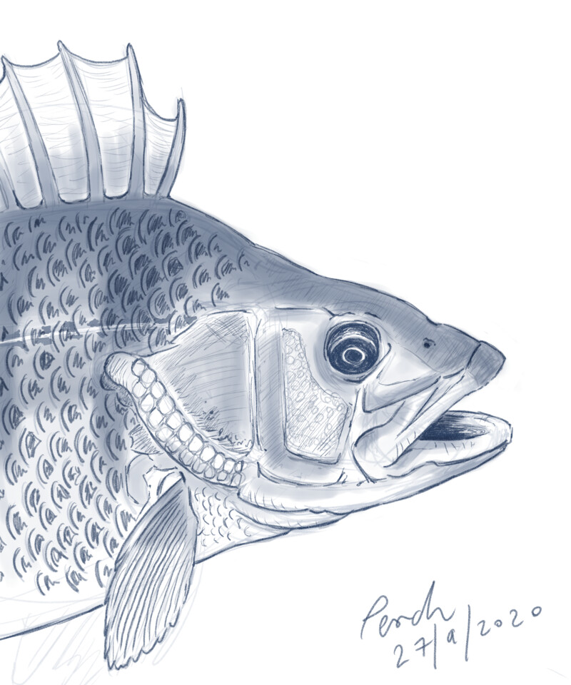 ArtStation - Darryl Wainwright