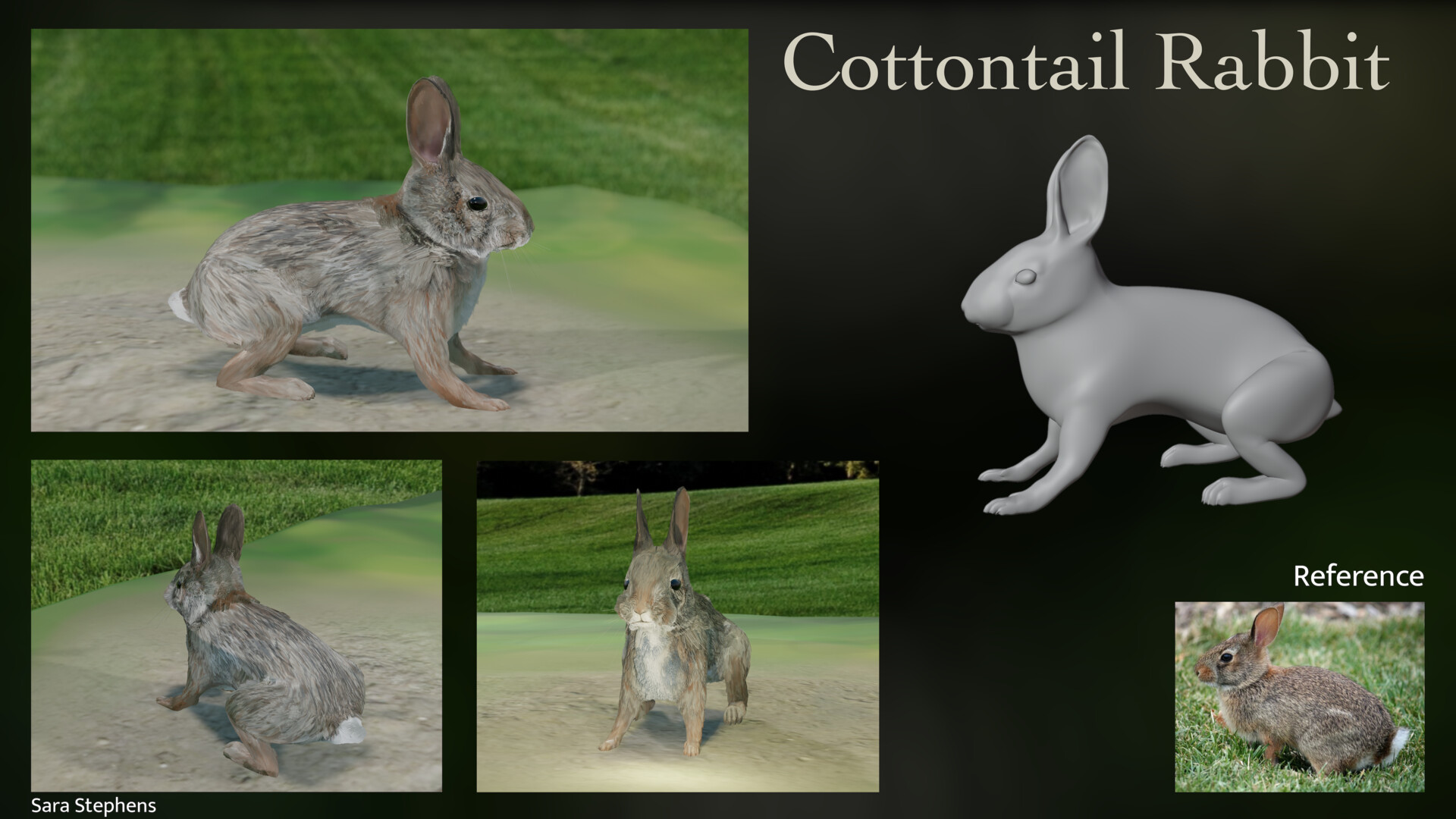 ArtStation - Cottontail Rabbit 3D Model Render