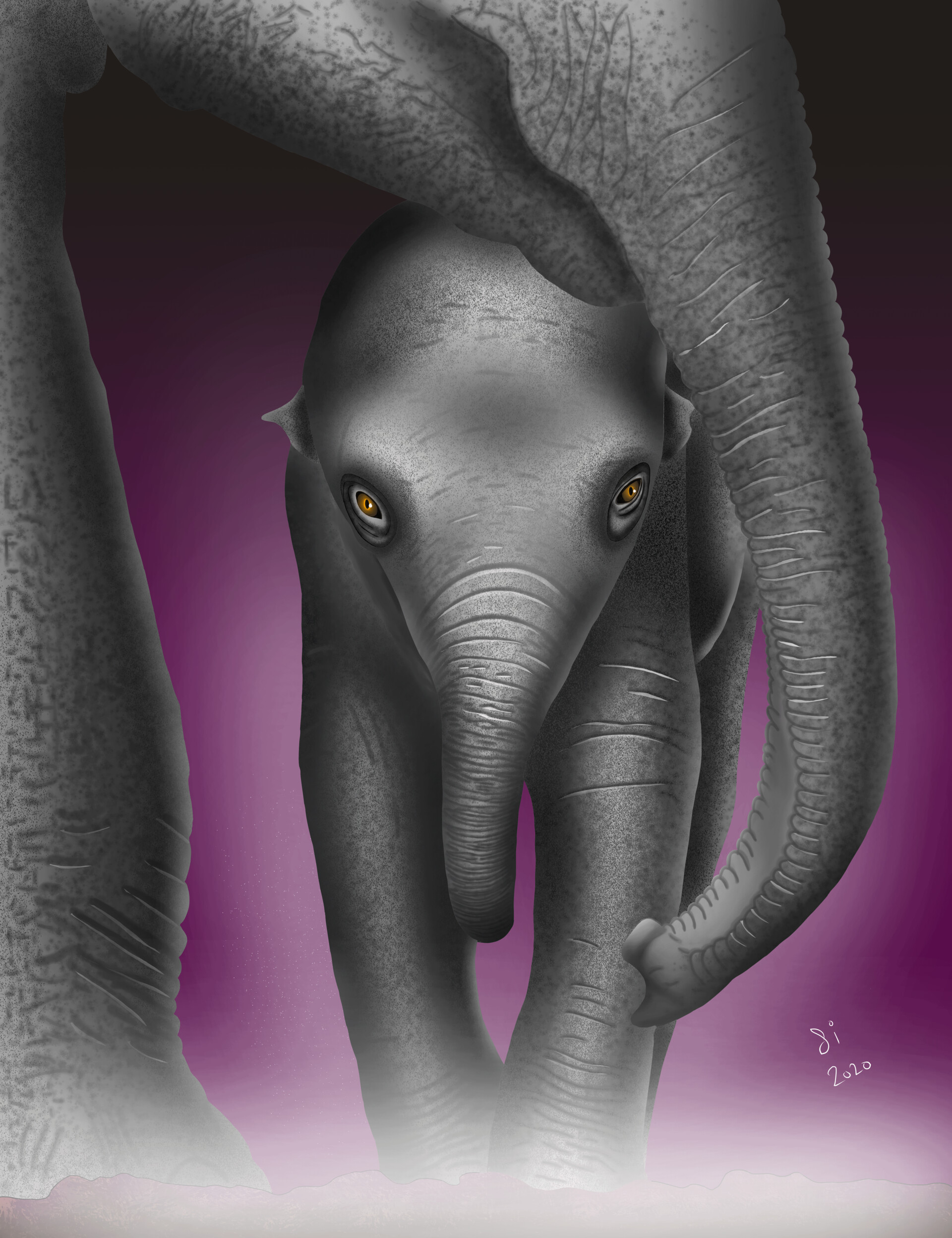 ArtStation - Baby elephant