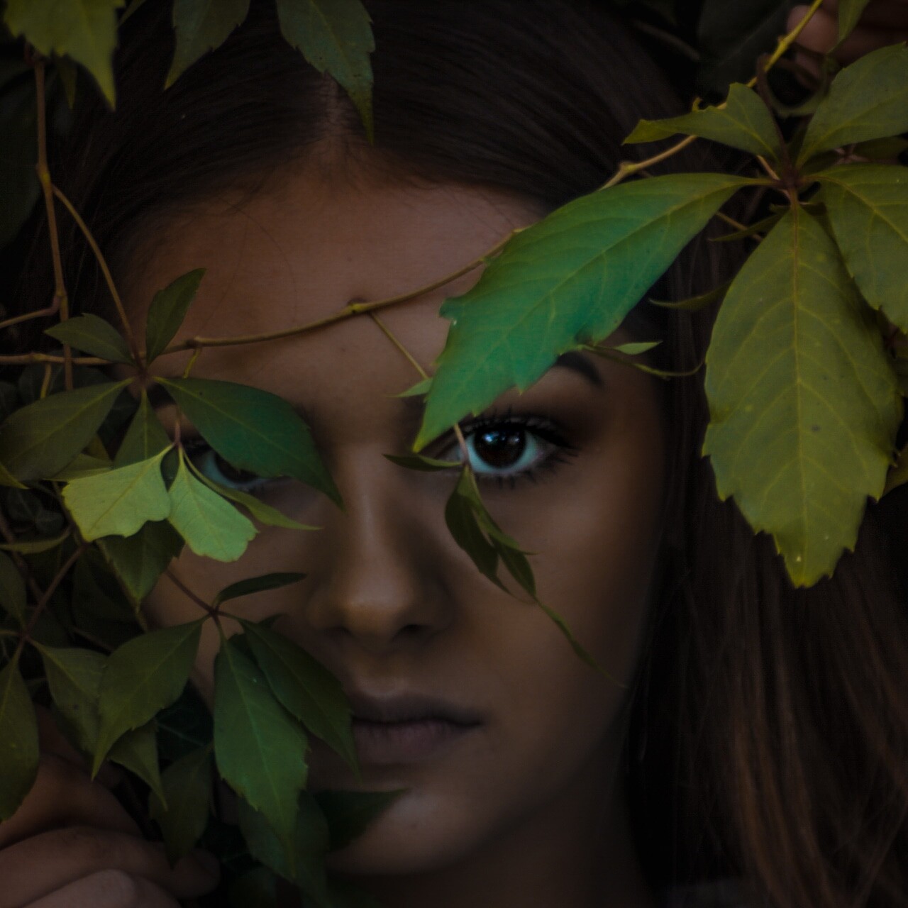 ArtStation - Virginia creeper.