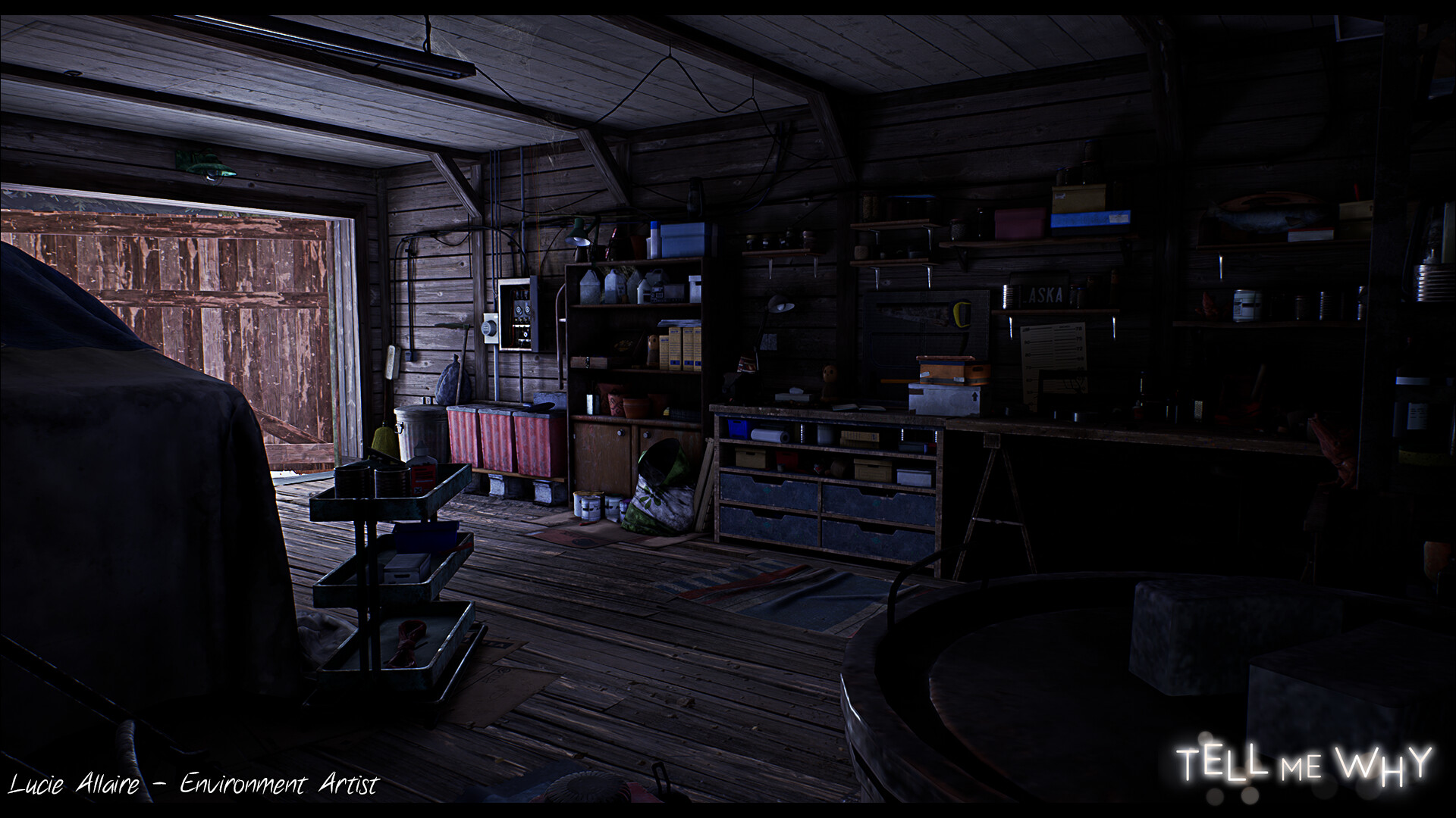 Lucie "Kaz" Allaire - Tell Me Why - Mary Ann's Old Barn - Environment Art