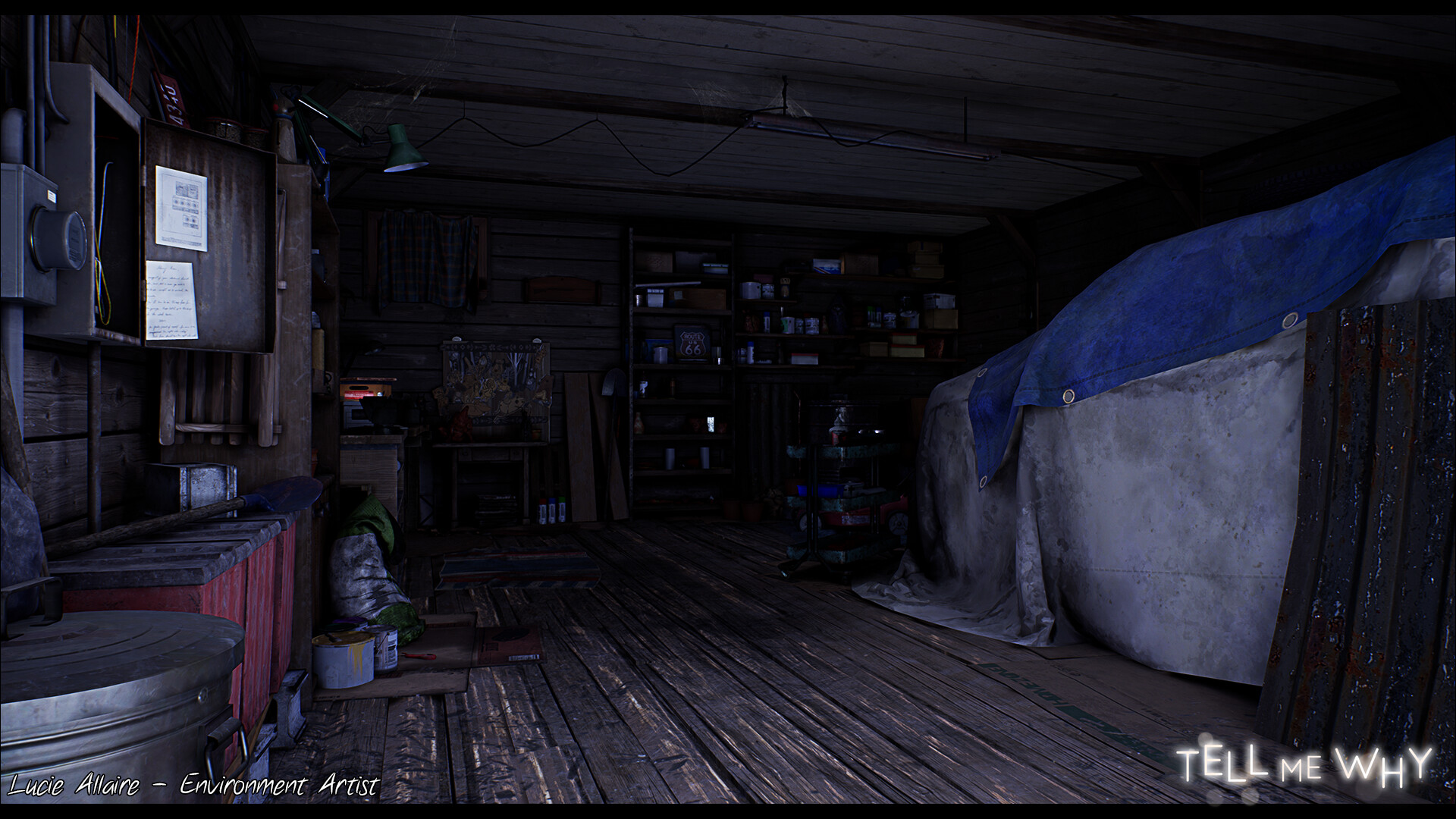 Lucie "Kaz" Allaire - Tell Me Why - Mary Ann's Old Barn - Environment Art