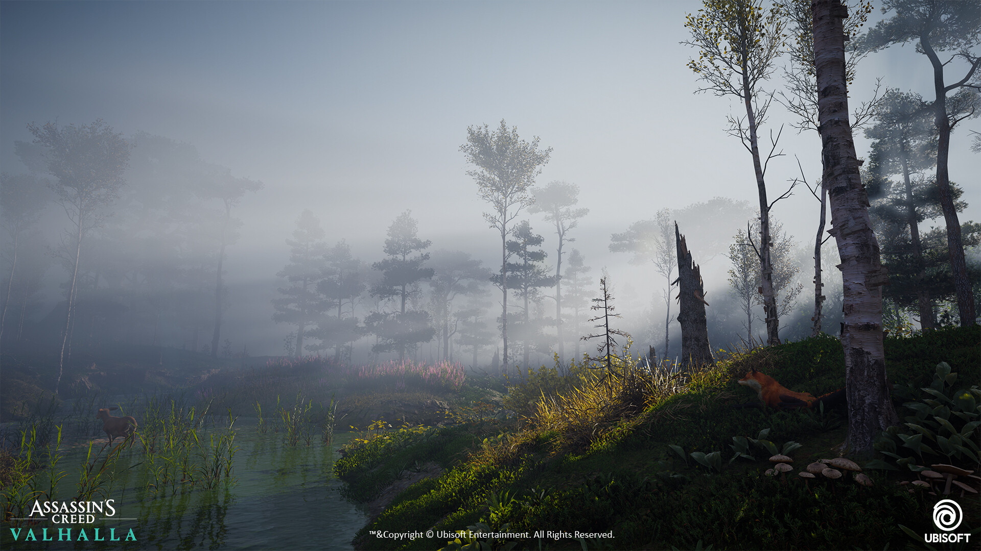 Joel Pelletant - Assassin's Creed : Valhalla (Natural World)