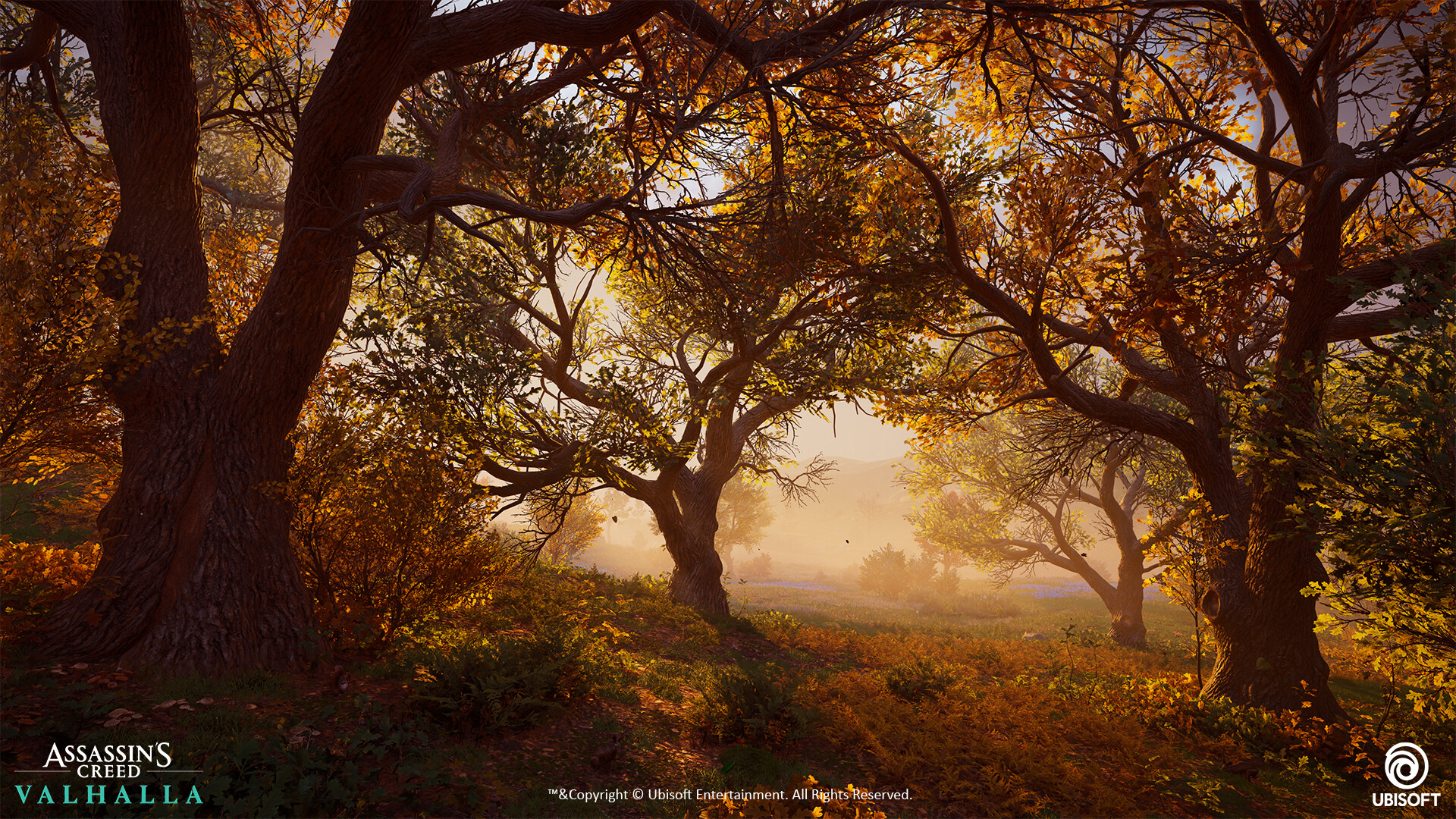 Joel Pelletant - Assassin's Creed : Valhalla (Natural World)