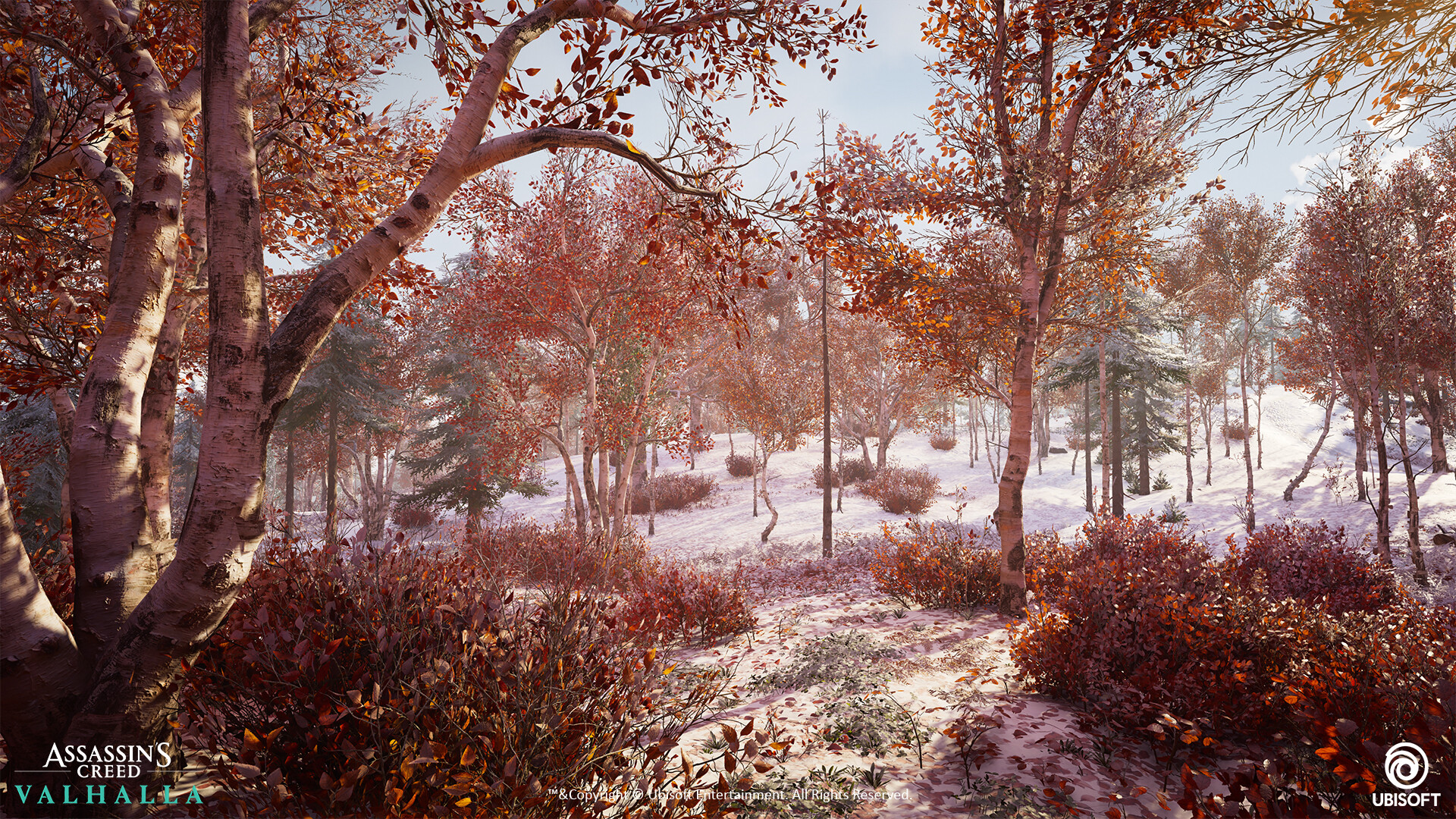 Joel Pelletant - Assassin's Creed : Valhalla (Natural World)