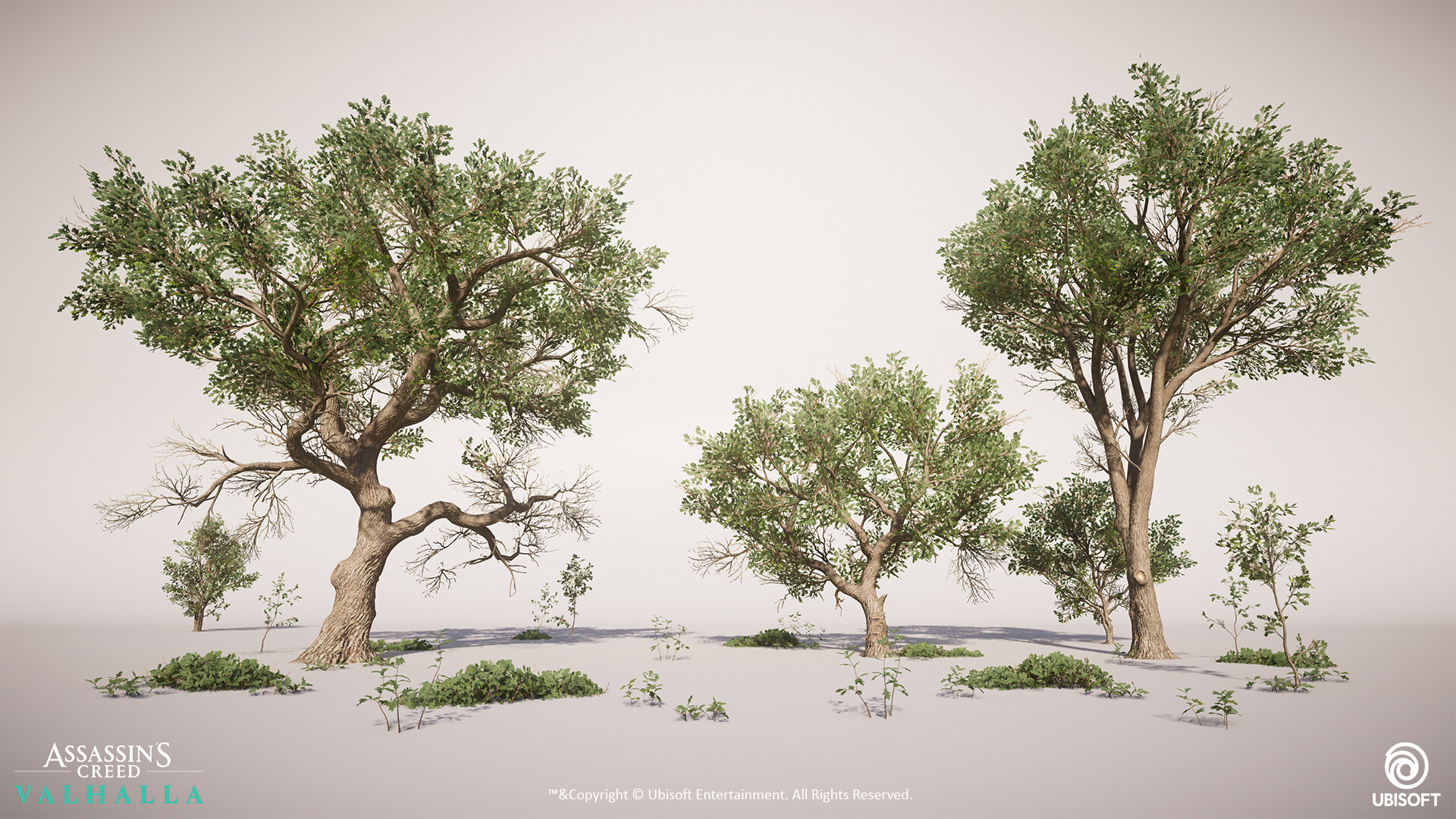 Joel Pelletant - Assassin's Creed : Valhalla (Assets)