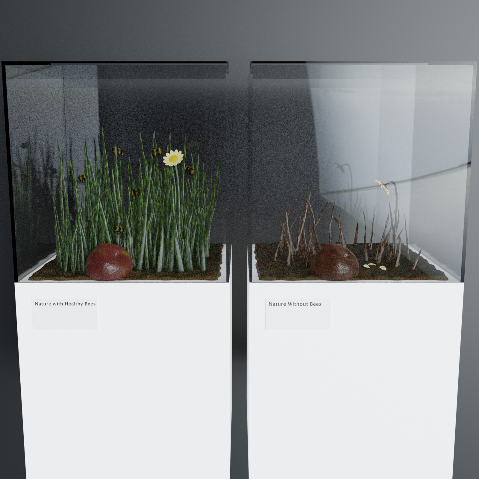 Jared Mason - Museum of Nature